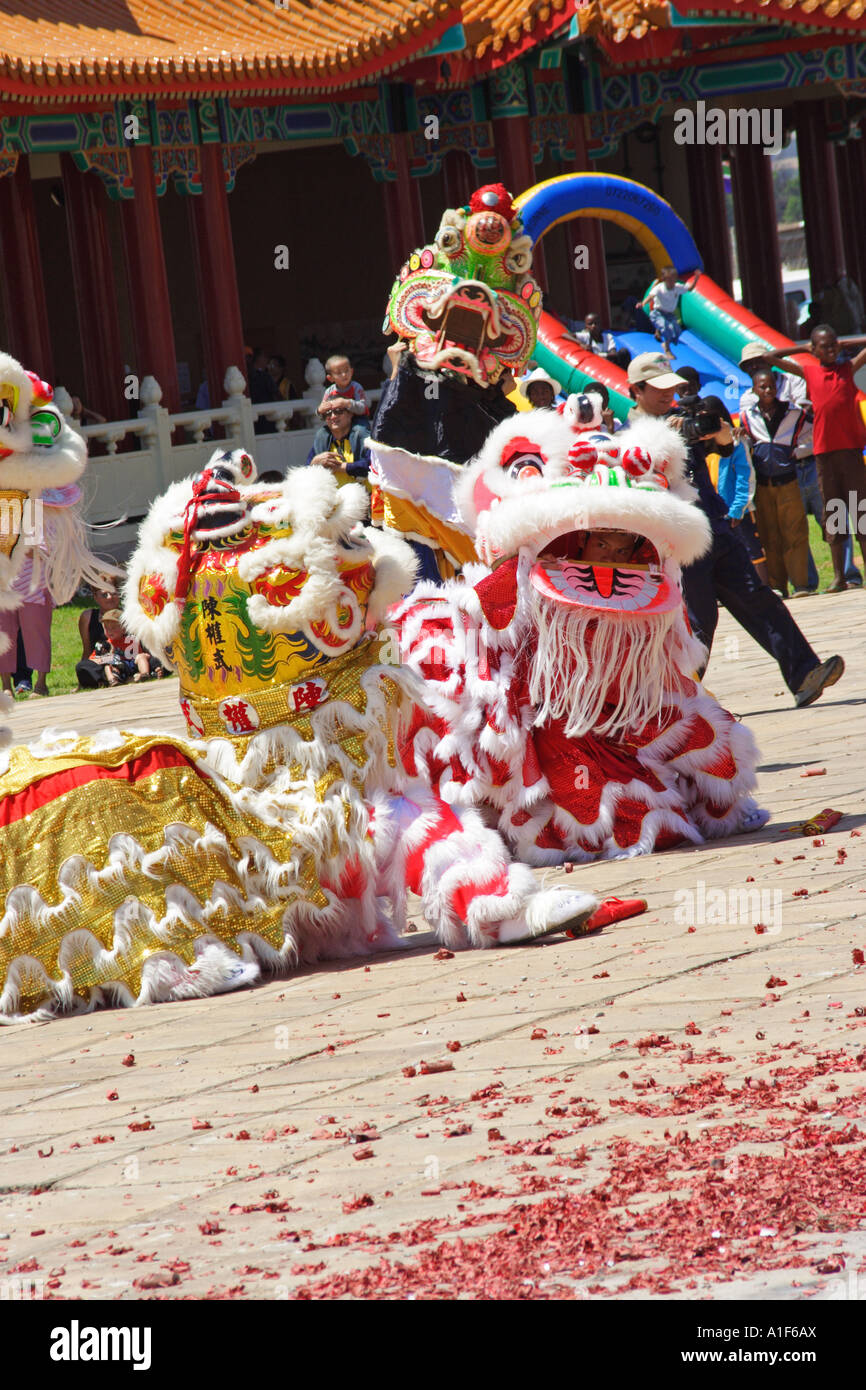 Lion and Dragon Dance, Chinese New Year Celebration Stock Photo - Alamy