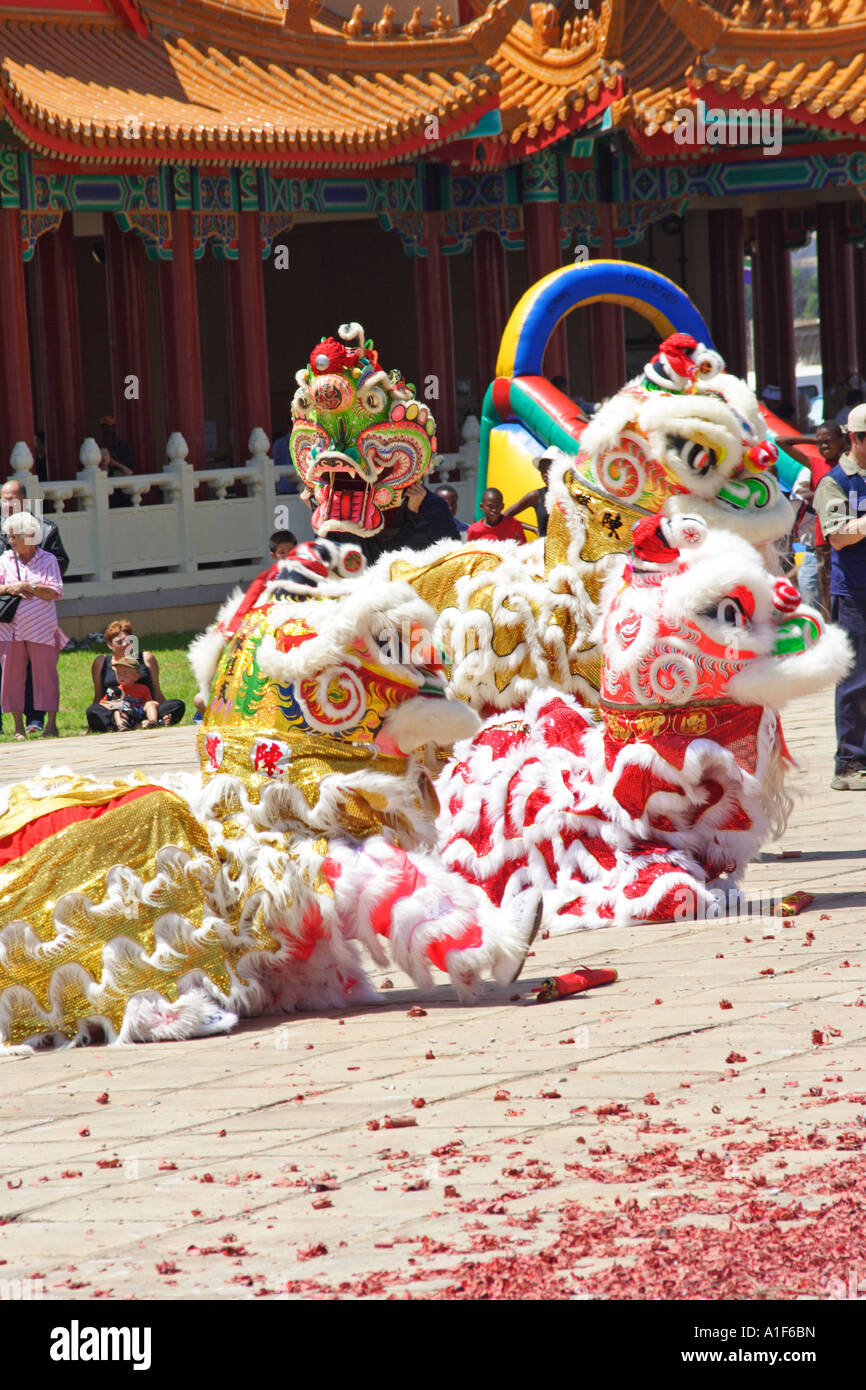 Lion and Dragon Dance, Chinese New Year Celebration Stock Photo - Alamy