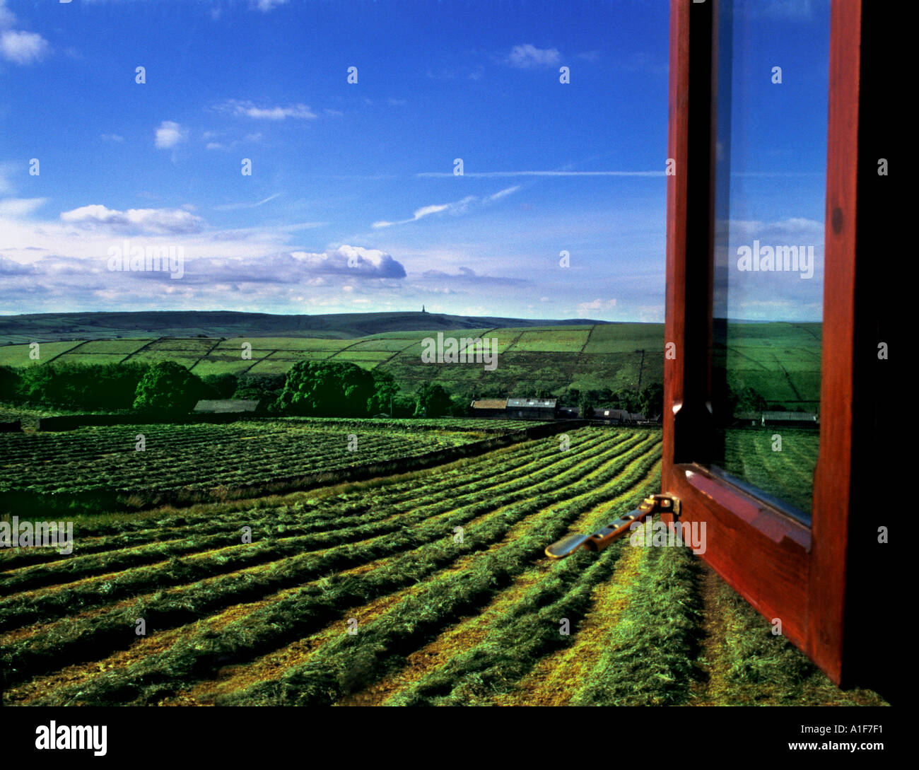 OPEN WINDOW VIEW OVER FARMLAND WITH GRASS RECENTLY CUT FOR SILAGE ...