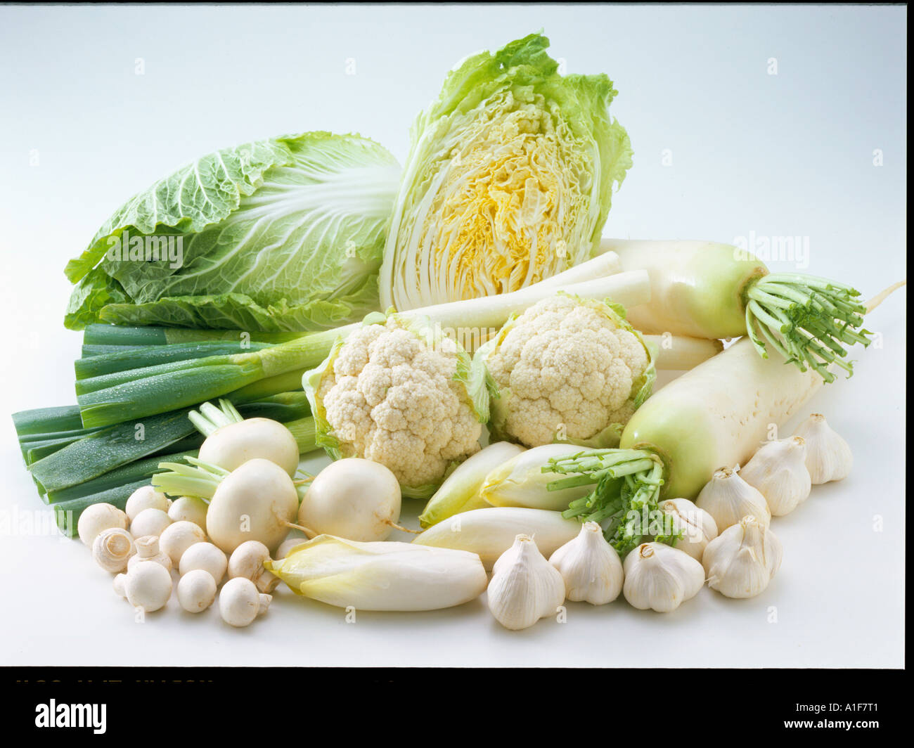 Japanese chicory hi-res stock photography and images - Alamy