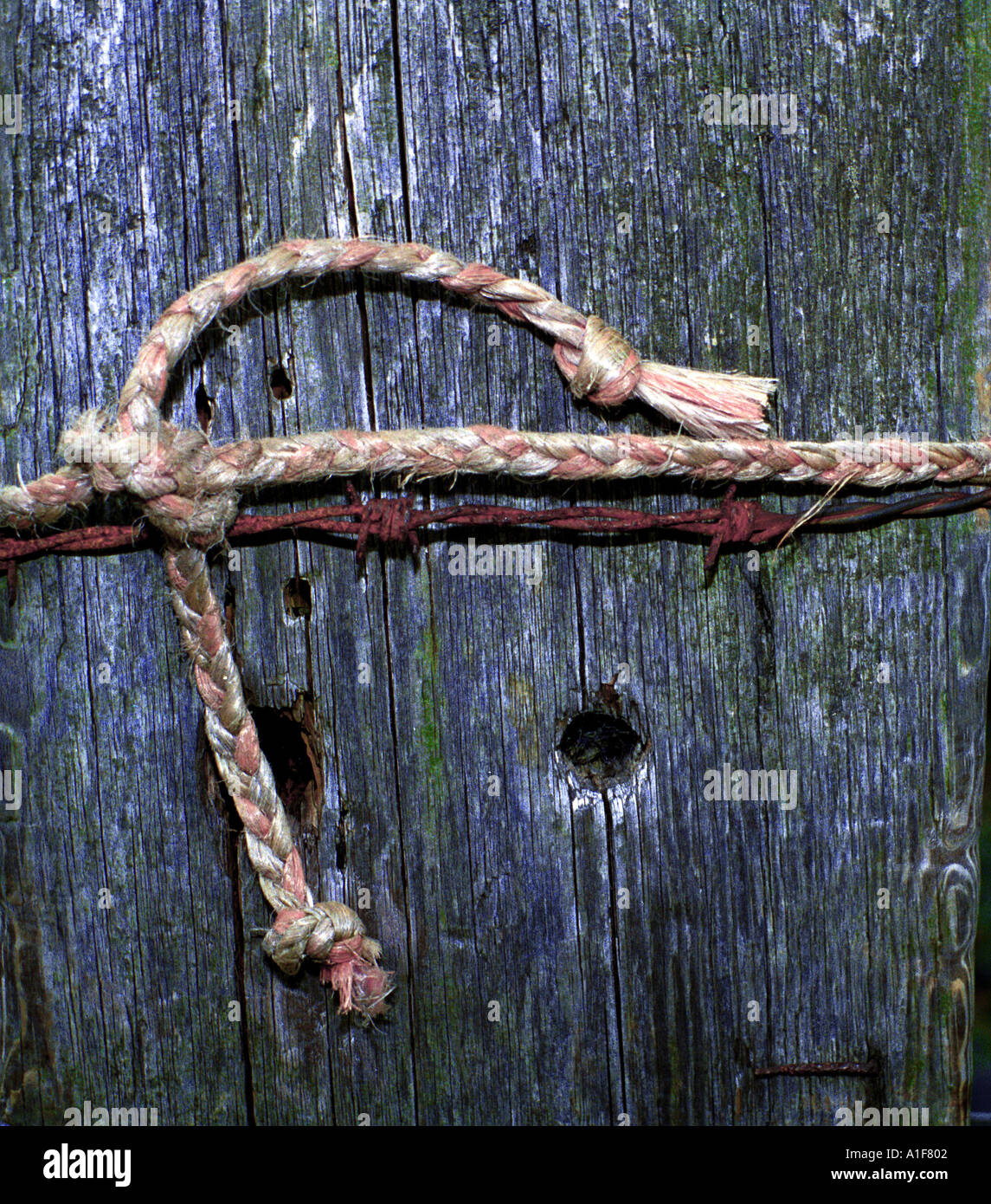 Plastic rope binding and rusty barbed wire on old farm gate post Stock ...
