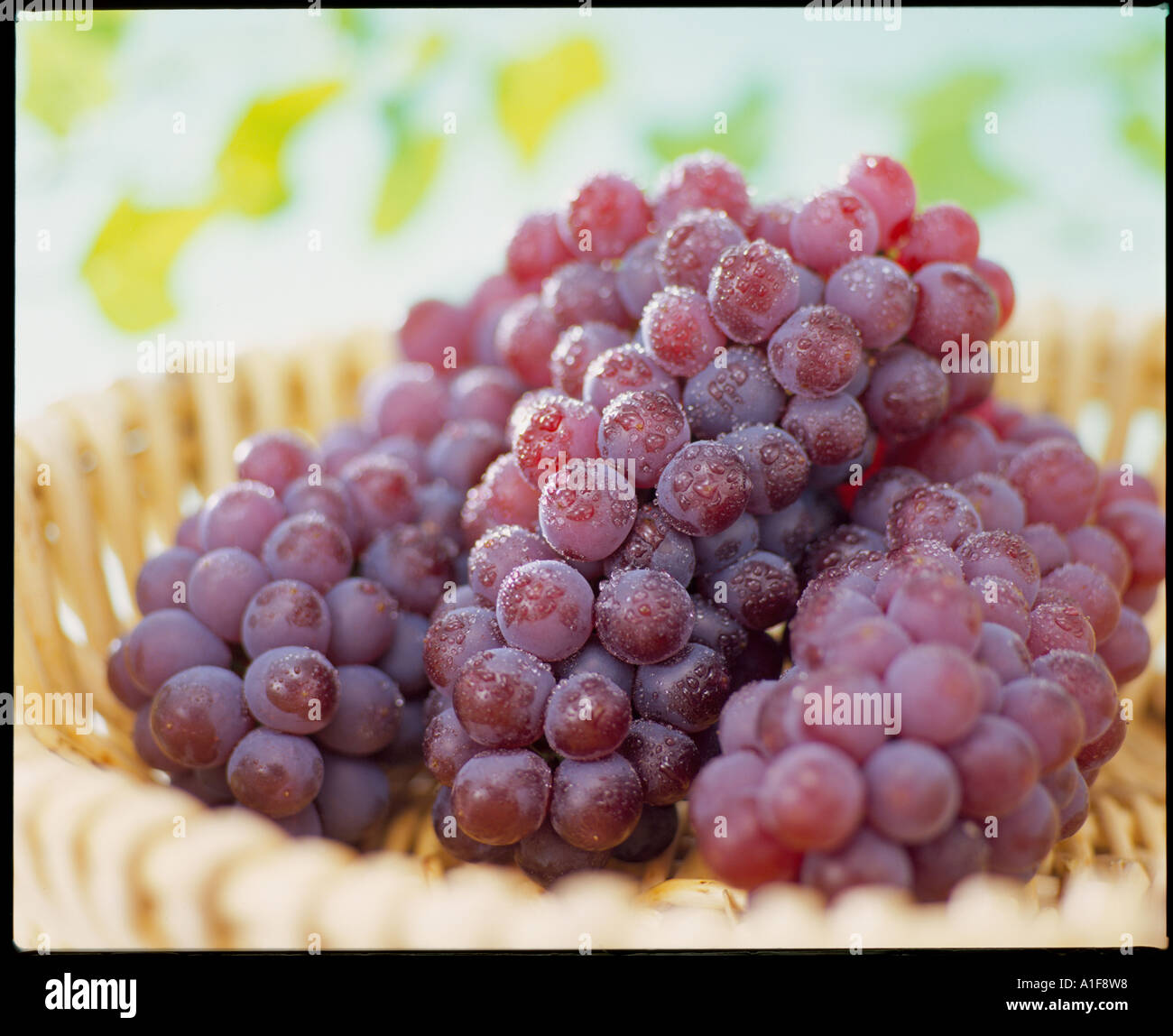 Delaware grape hi-res stock photography and images - Alamy