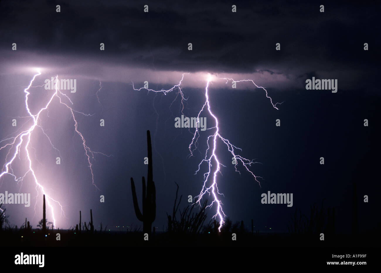 Lightning over the desert Stock Photo - Alamy