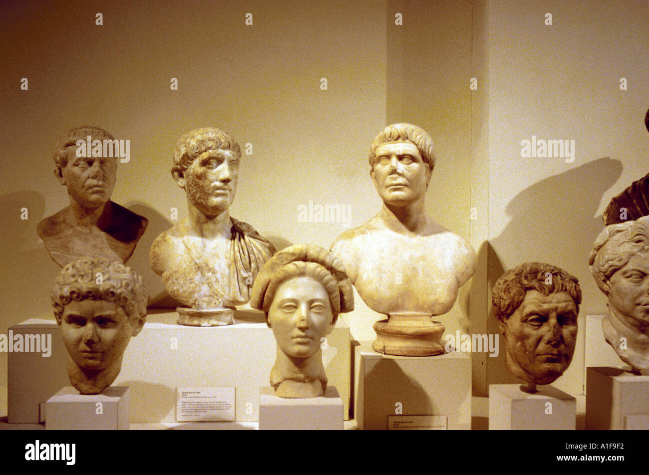 sculpted ancient Roman heads Stock Photo - Alamy