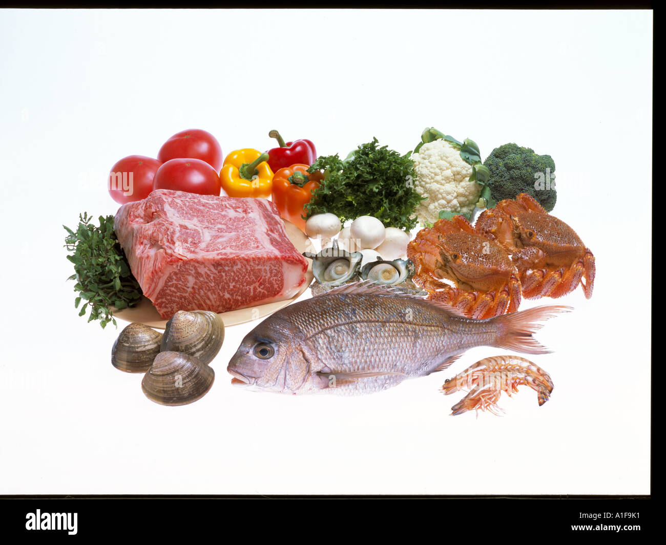 Horsehair crab hi-res stock photography and images - Alamy