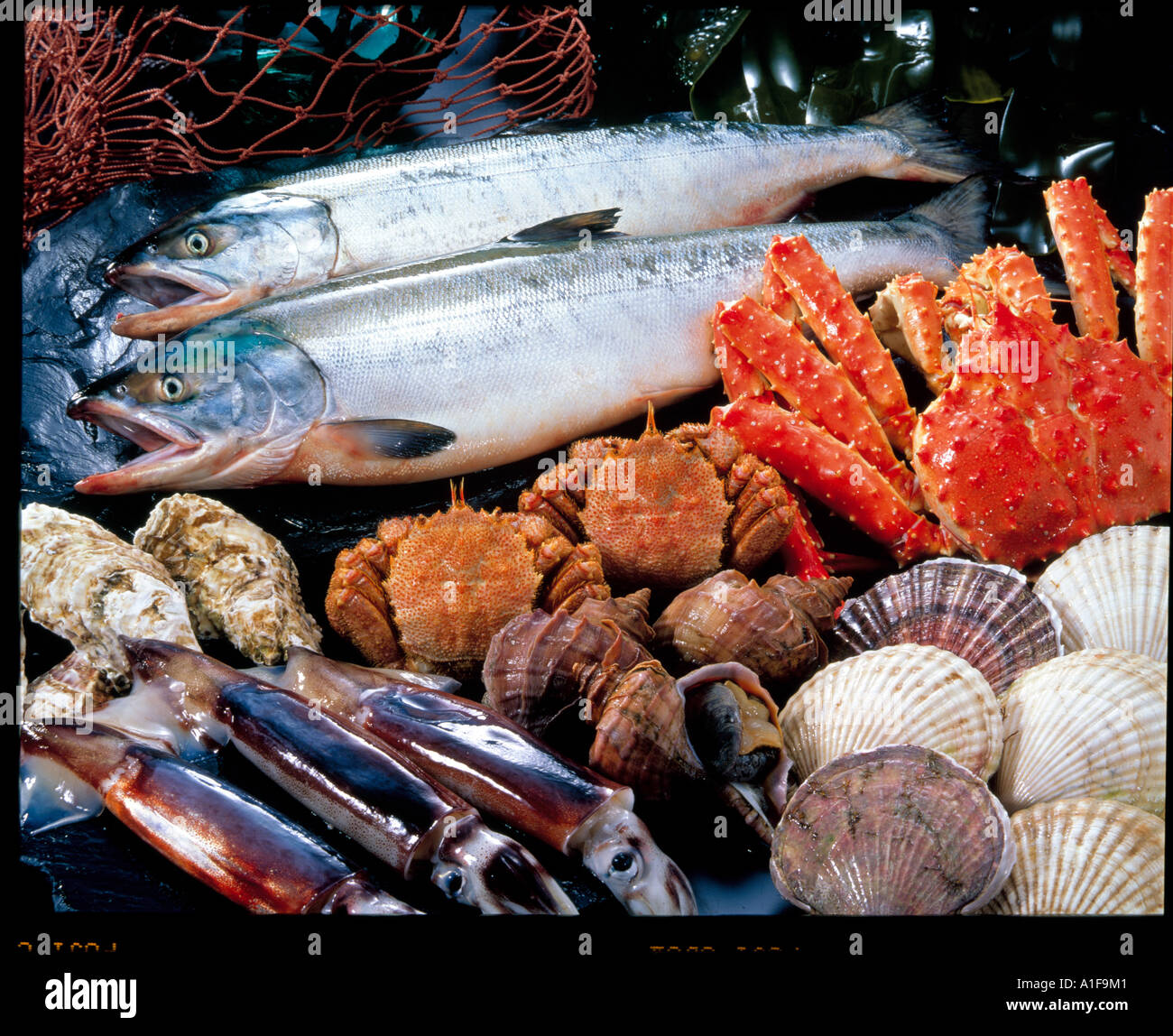 Horsehair crab hi-res stock photography and images - Alamy