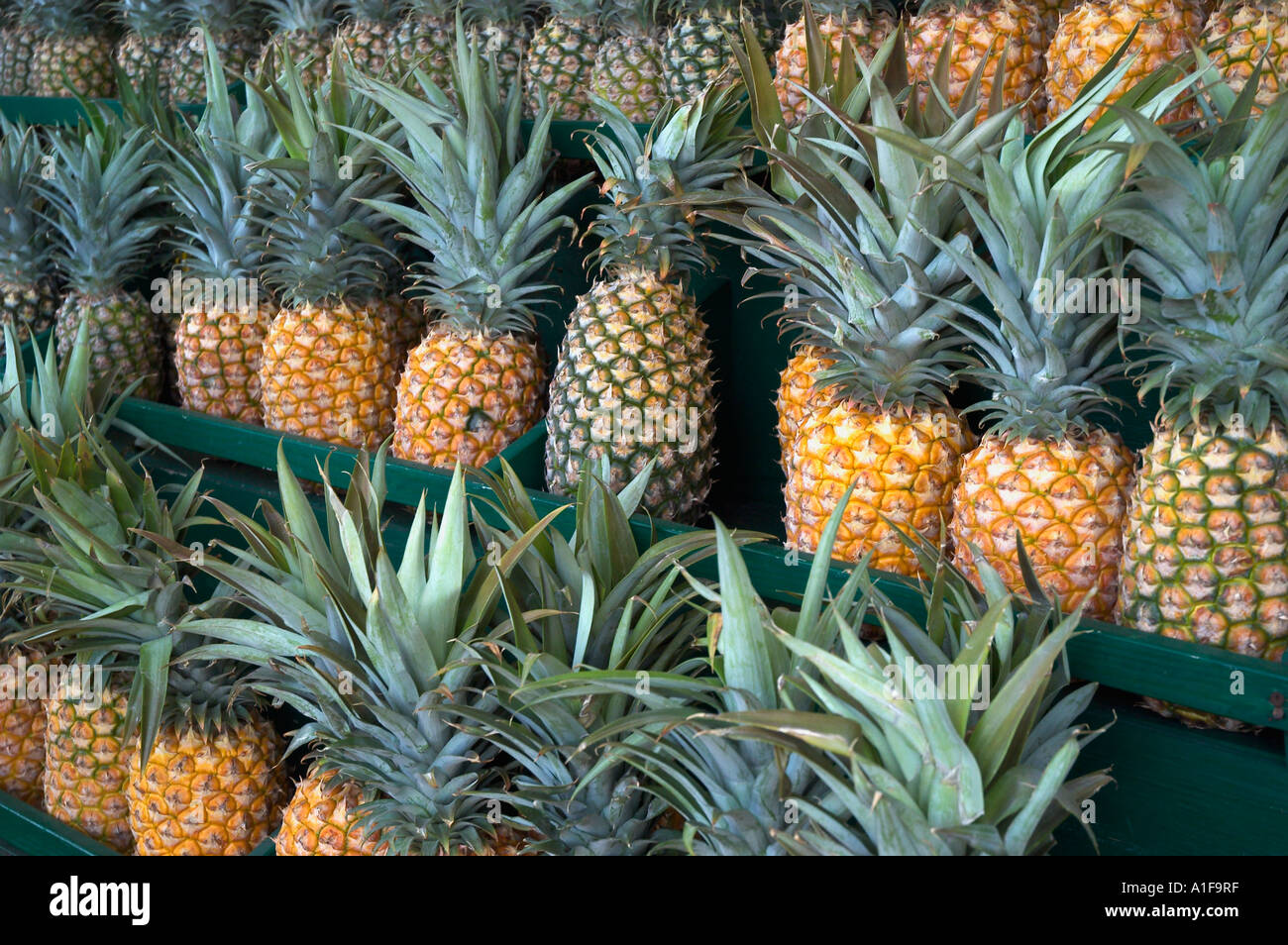 pineapple stand Hawaii Stock Photo - Alamy