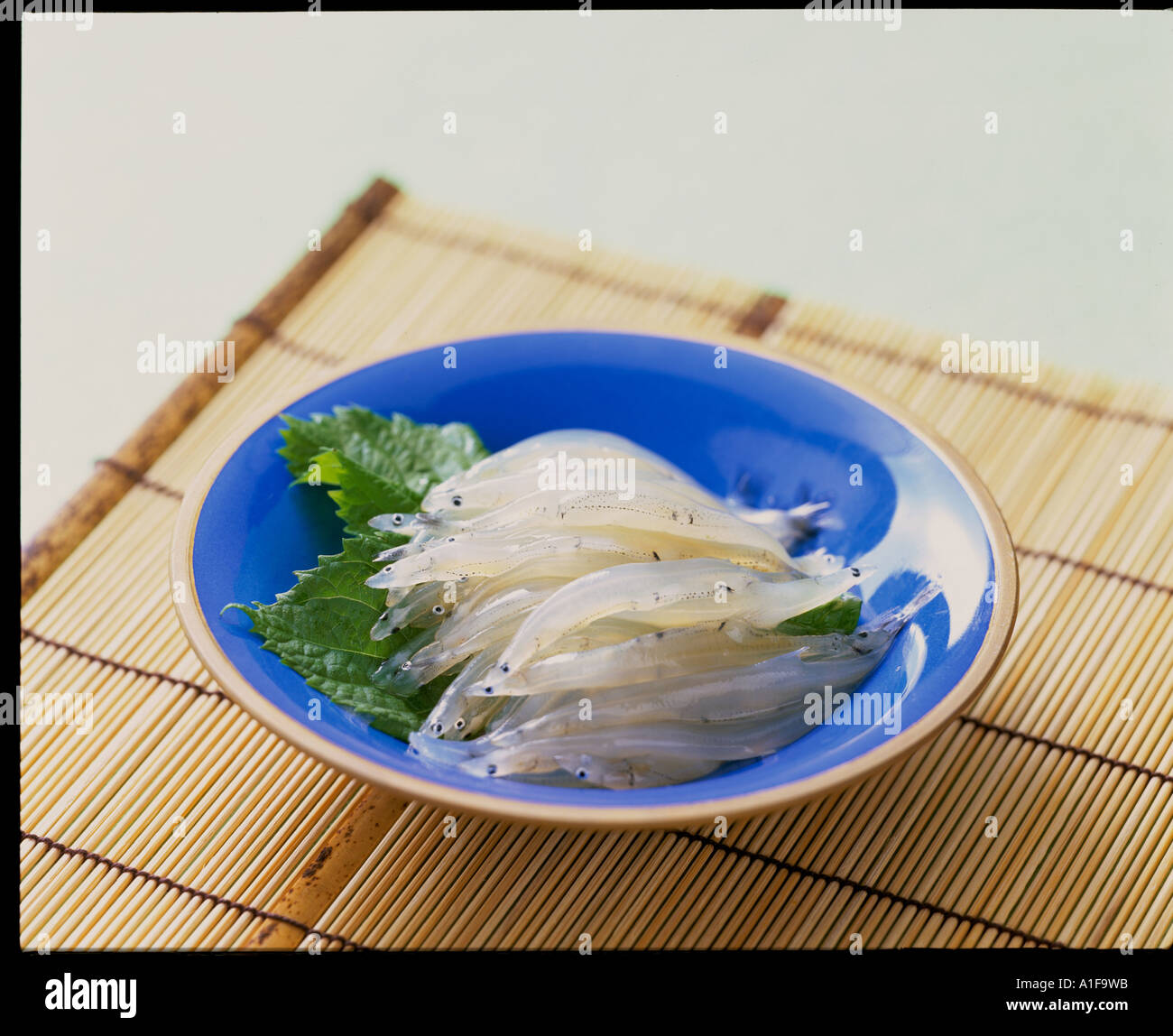 Icefish hi-res stock photography and images - Alamy