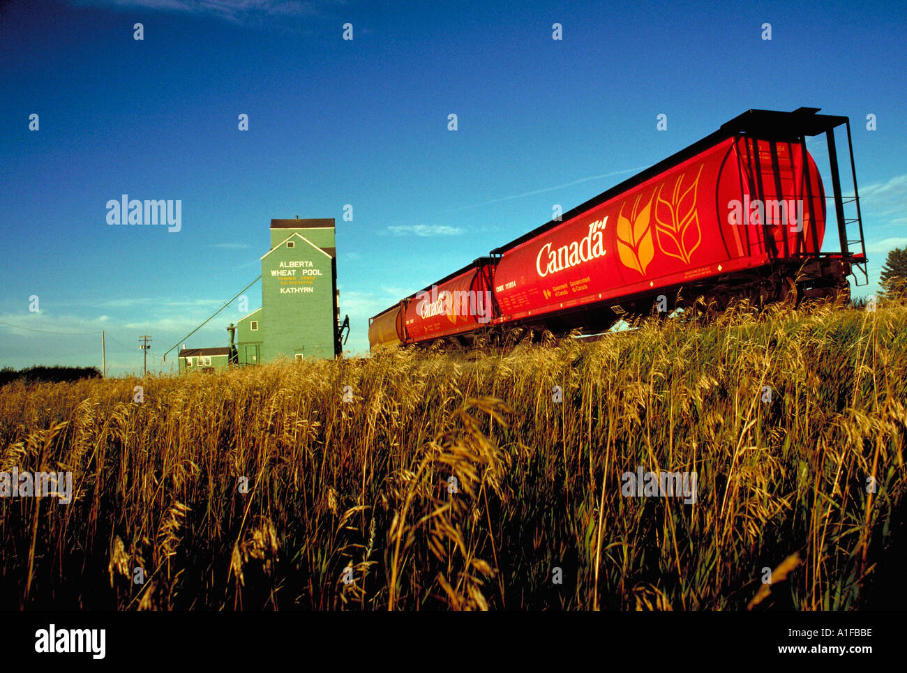 Grain elevator and wheat train Alberta Canada extensive collection of ...
