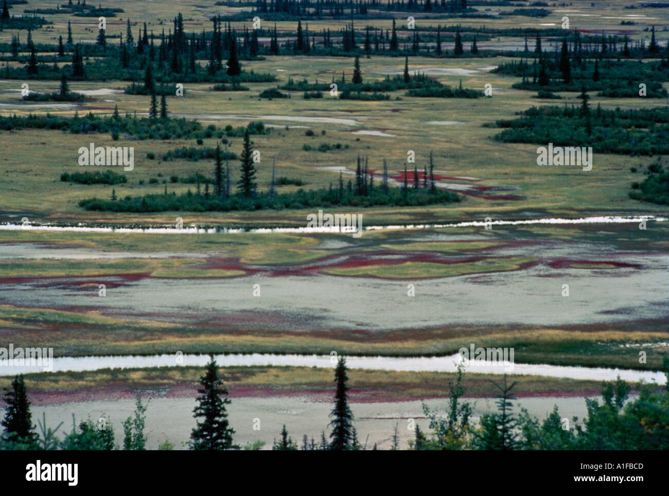 Salt flats Northwest Territory Canada Stock Photo - Alamy