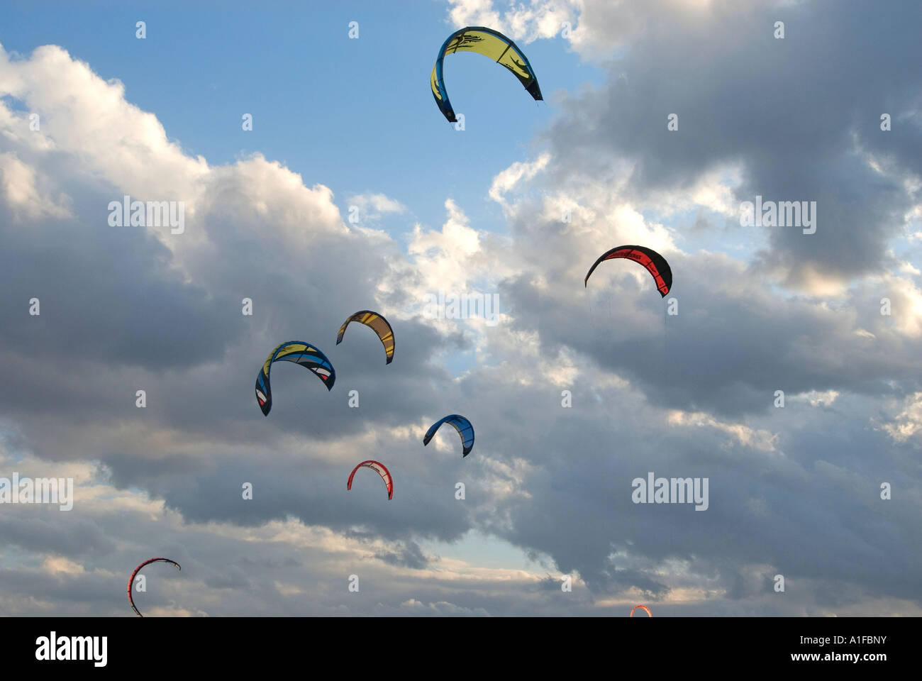 Kites of kite surfers flapping in the wind Stock Photo - Alamy