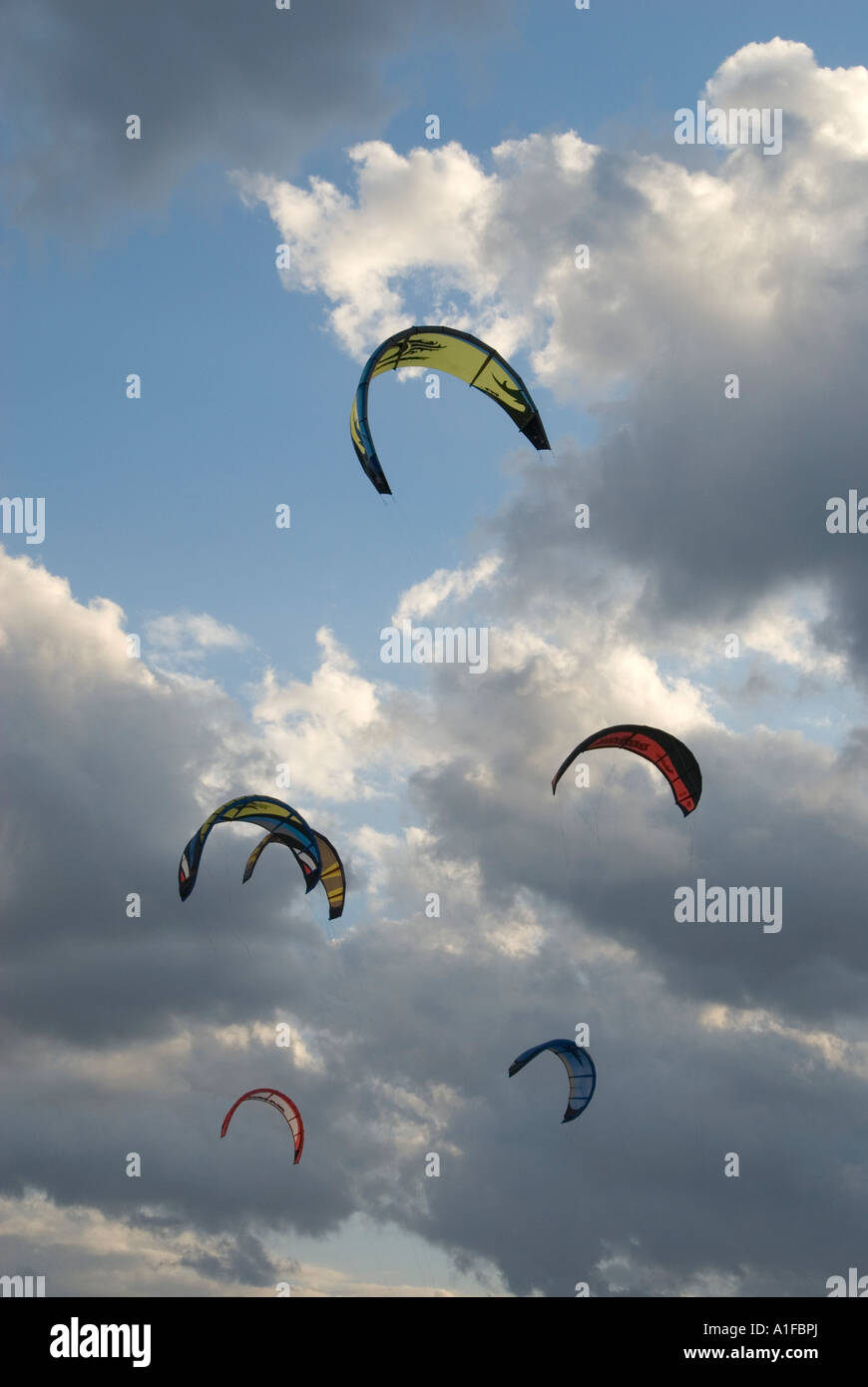 Kites of kitesurfers flapping in the wind Stock Photo - Alamy