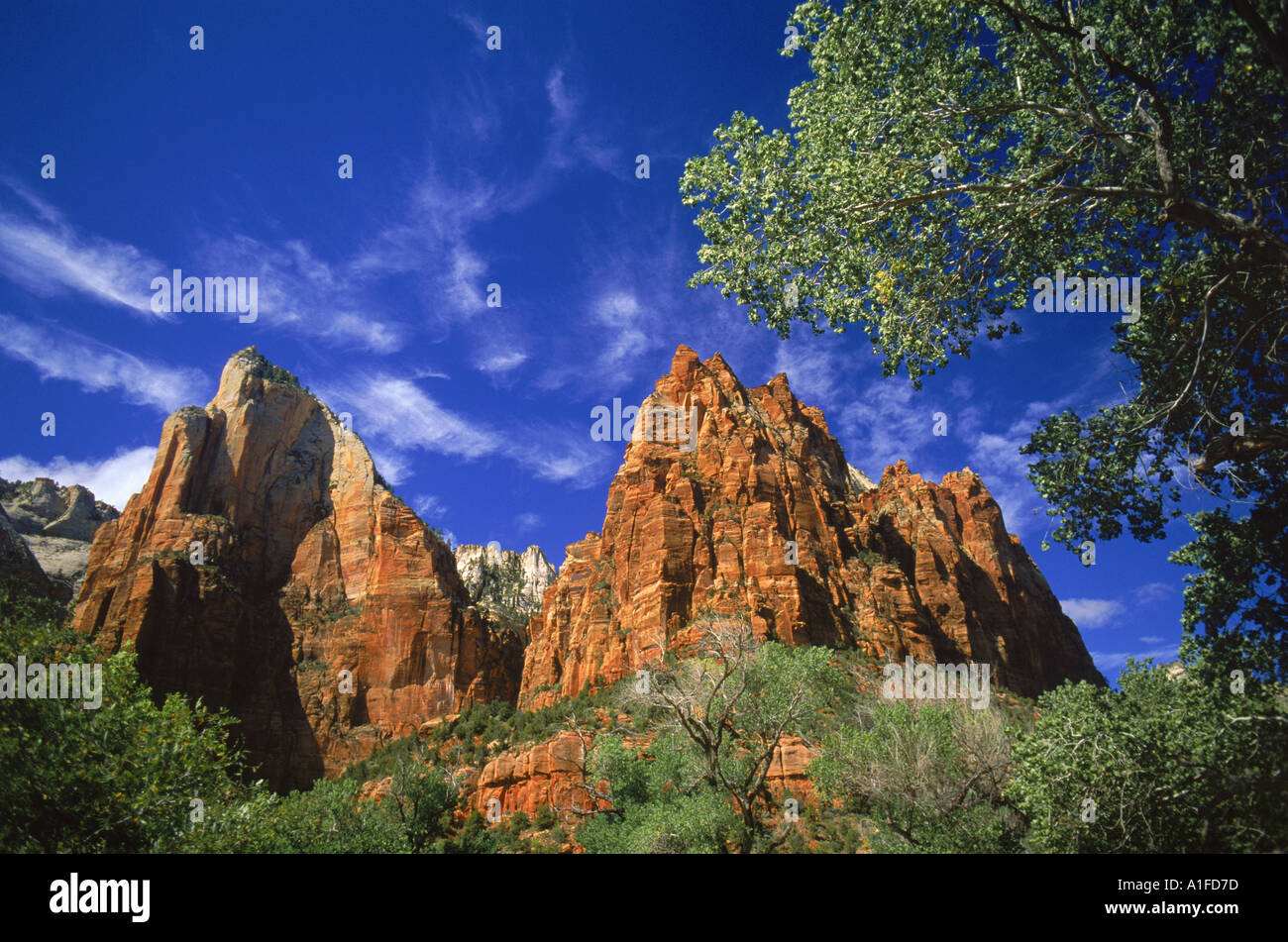 Two of the three rock peaks known as The Three Patriarchs in the Zion ...