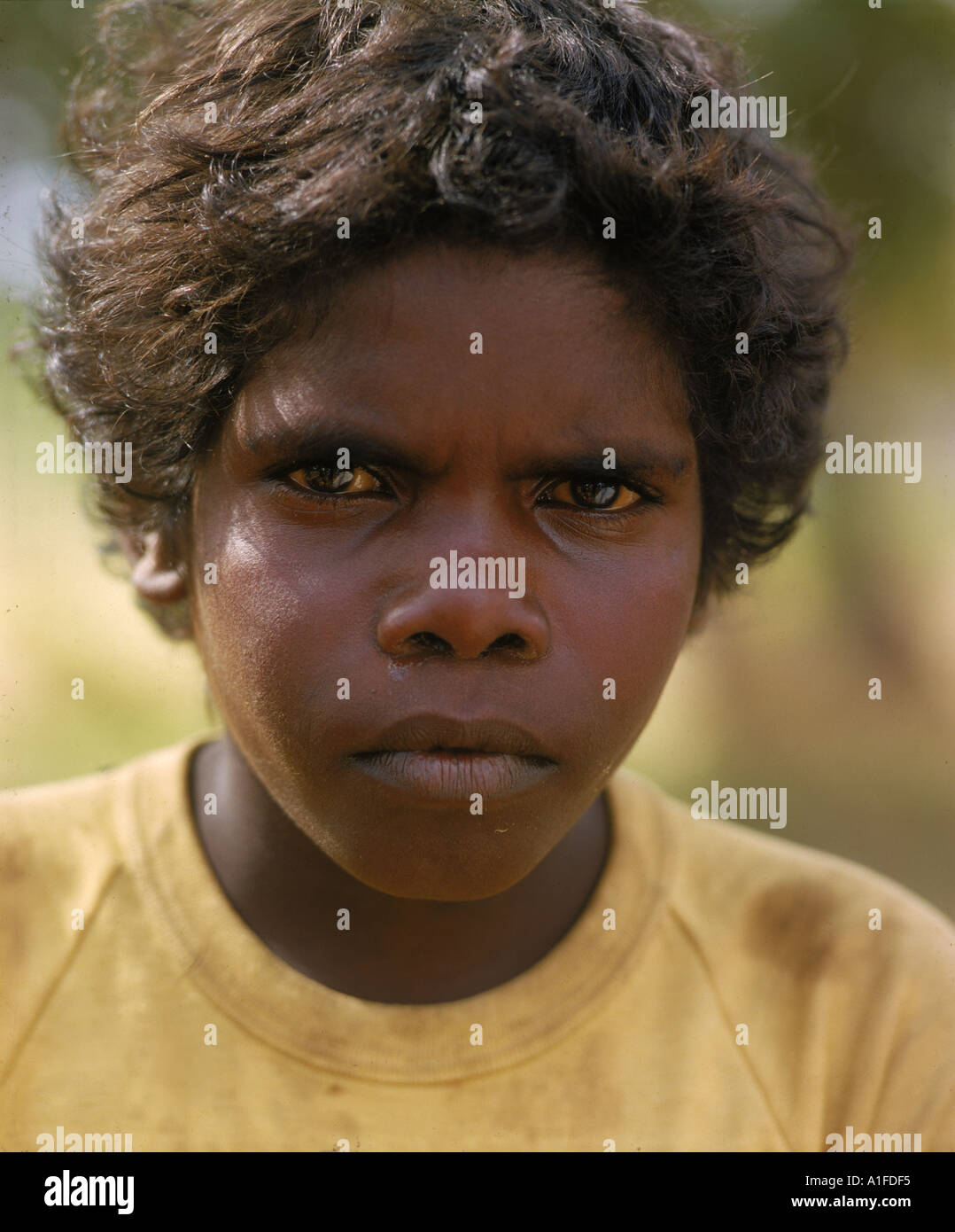Portrait of an aboriginal boy at Boswick Australia Rainbird Stock Photo ...