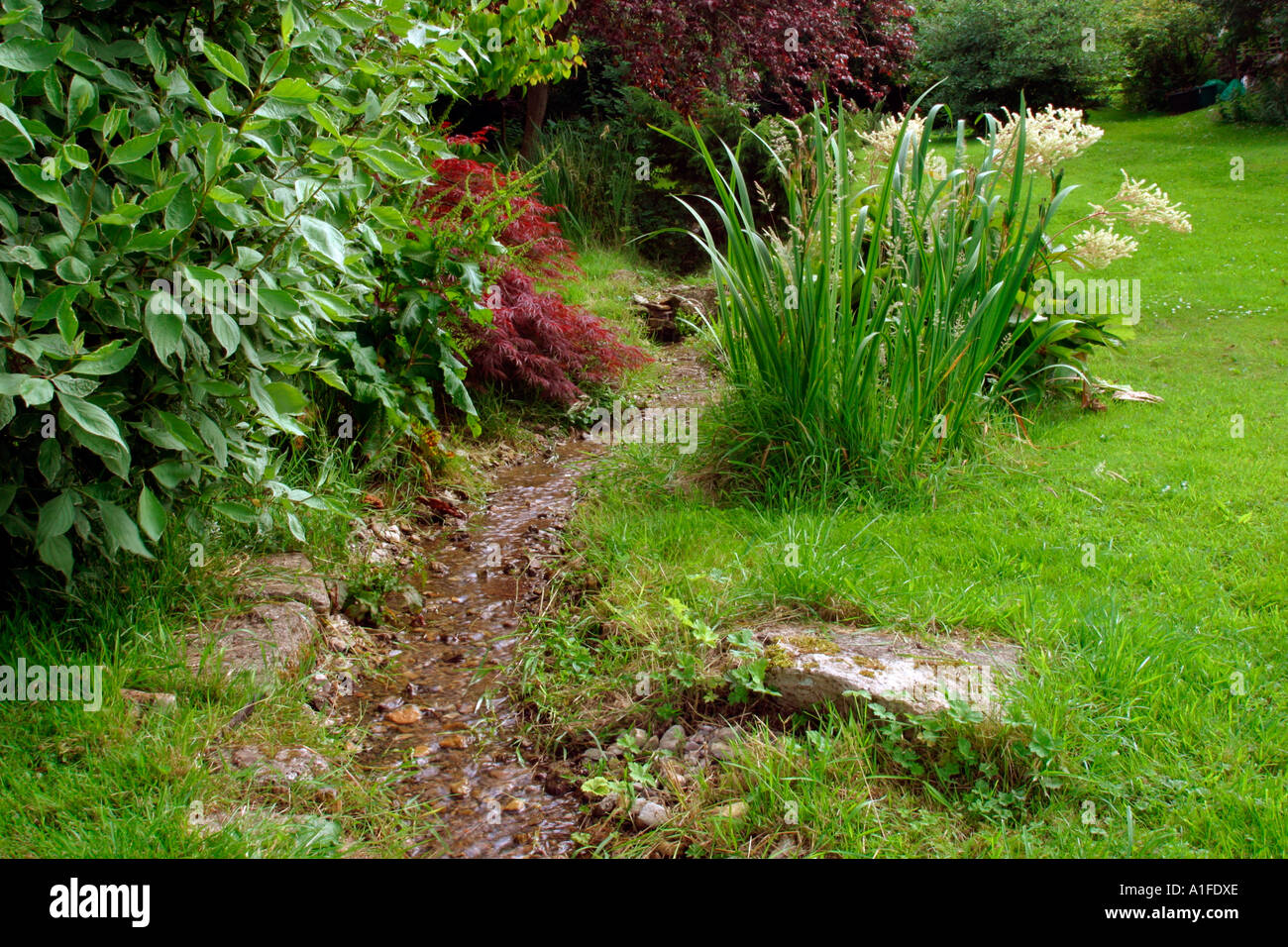 Small garden stream water feature Stock Photo - Alamy