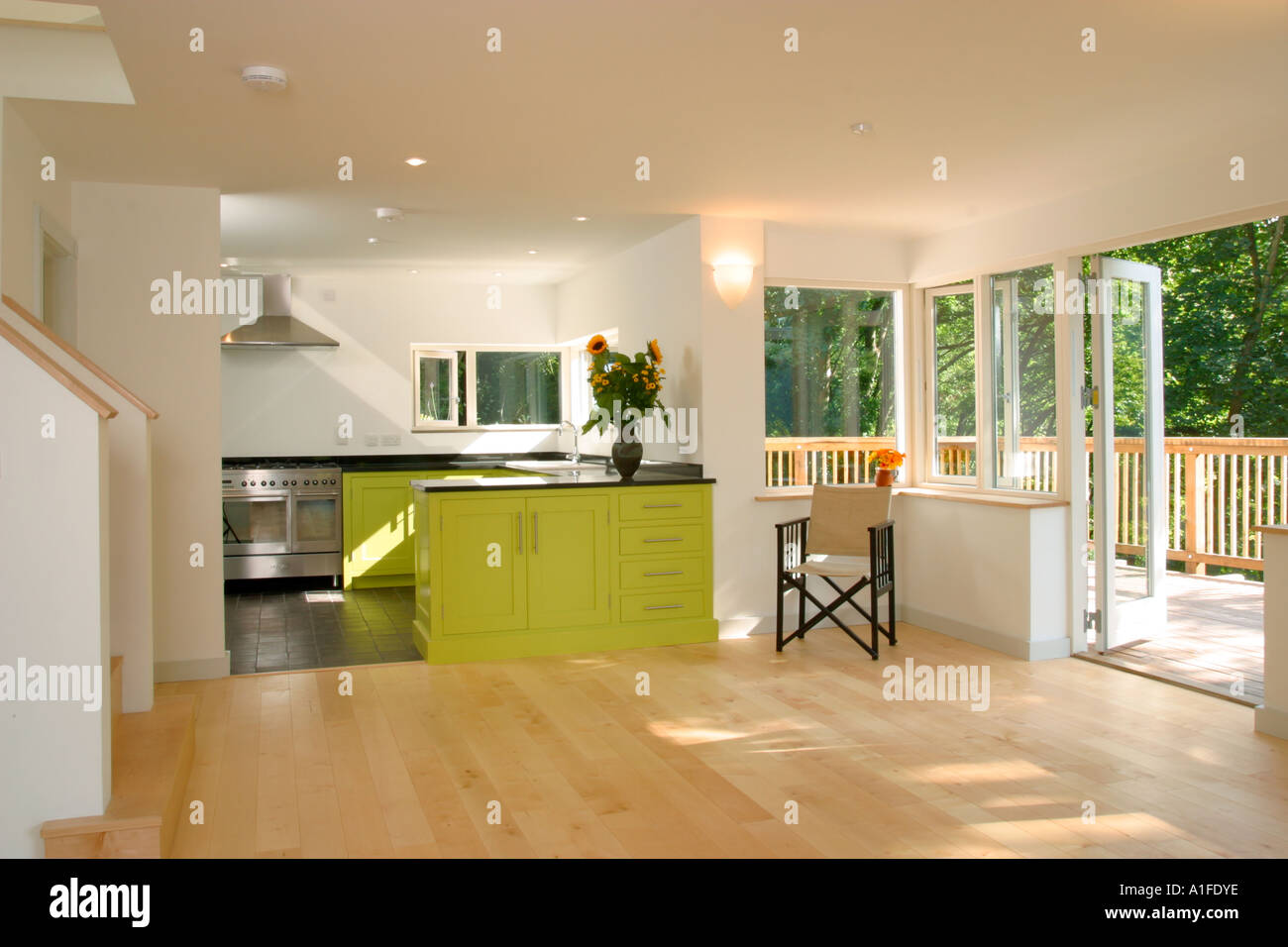 Show home uk hi-res stock photography and images - Alamy