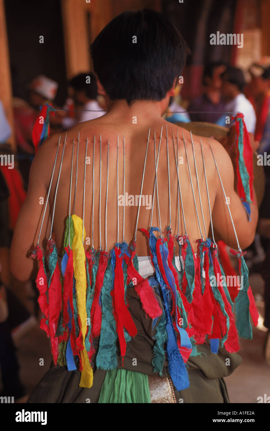 Back of a Tibetan man with needles inserted into skin in manhood rites ...