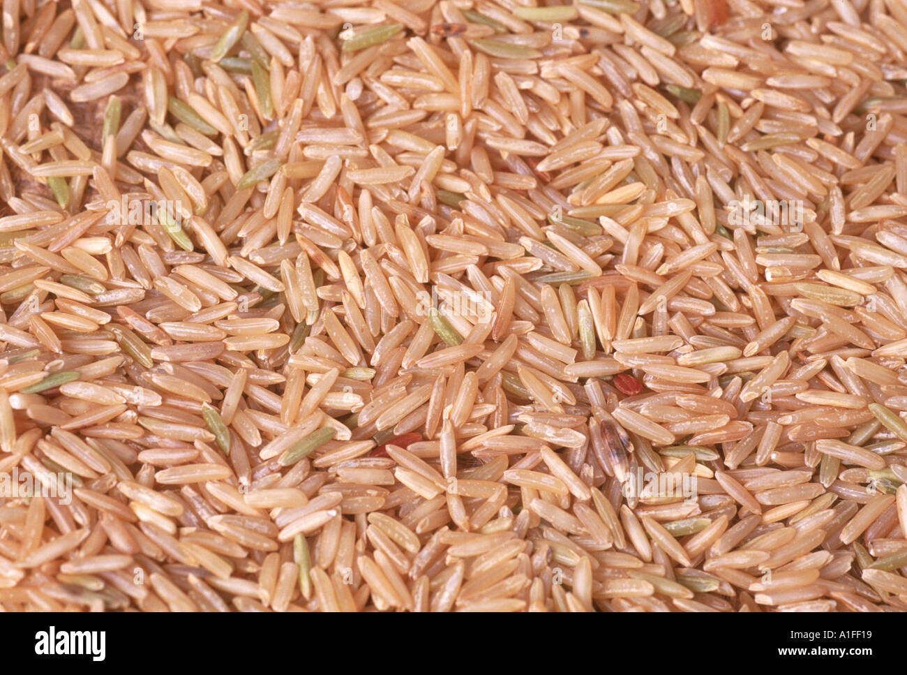 Close up of grains of brown Basmati rice M H Black Stock Photo - Alamy