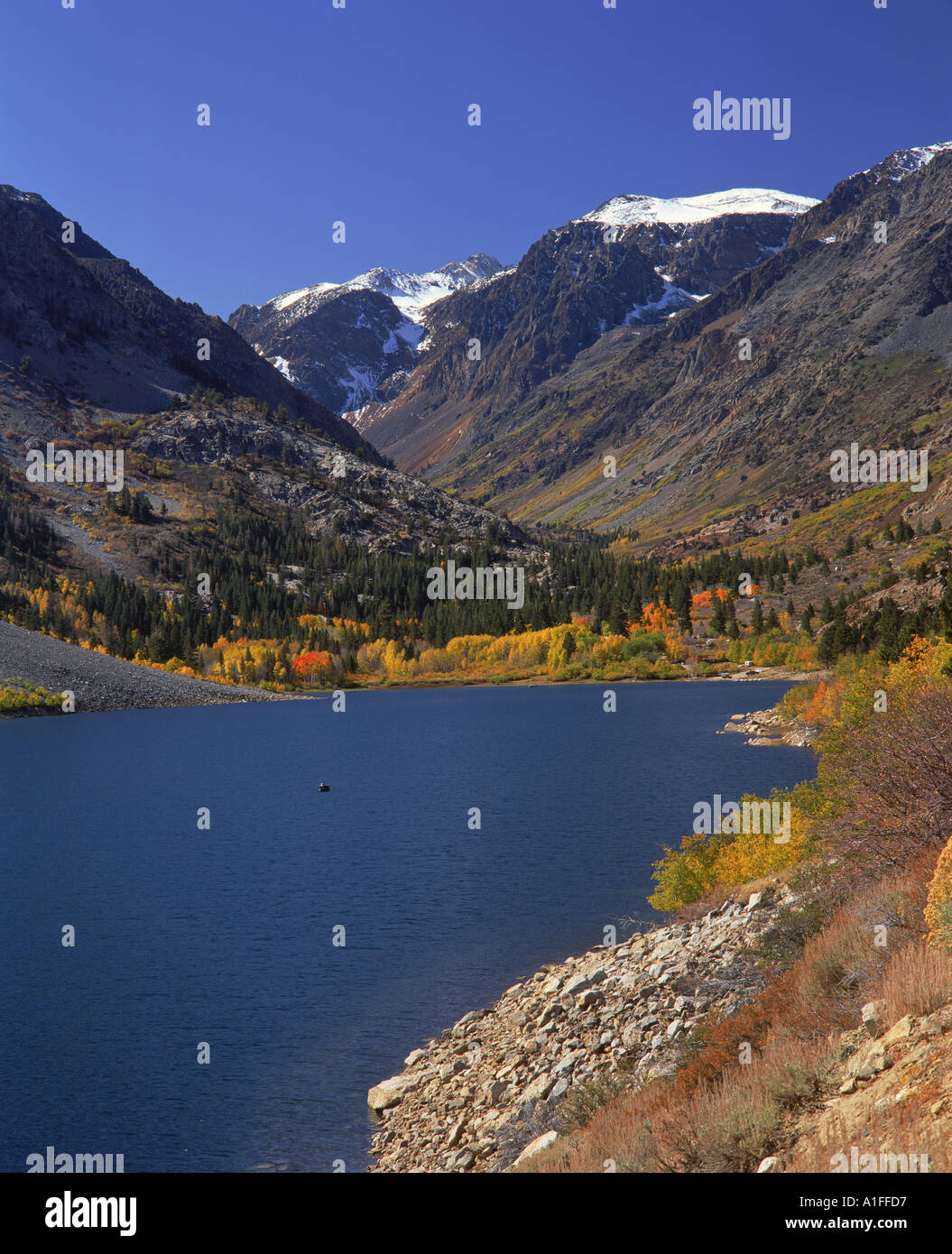 Landscape of June Lake with trees in fall colours and snow capped ...