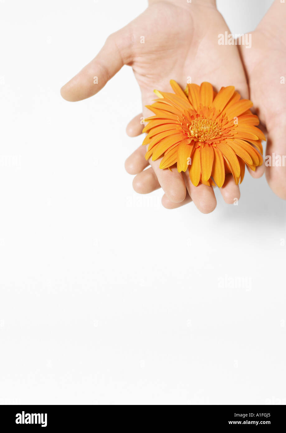 Handing out flowers hi-res stock photography and images - Alamy