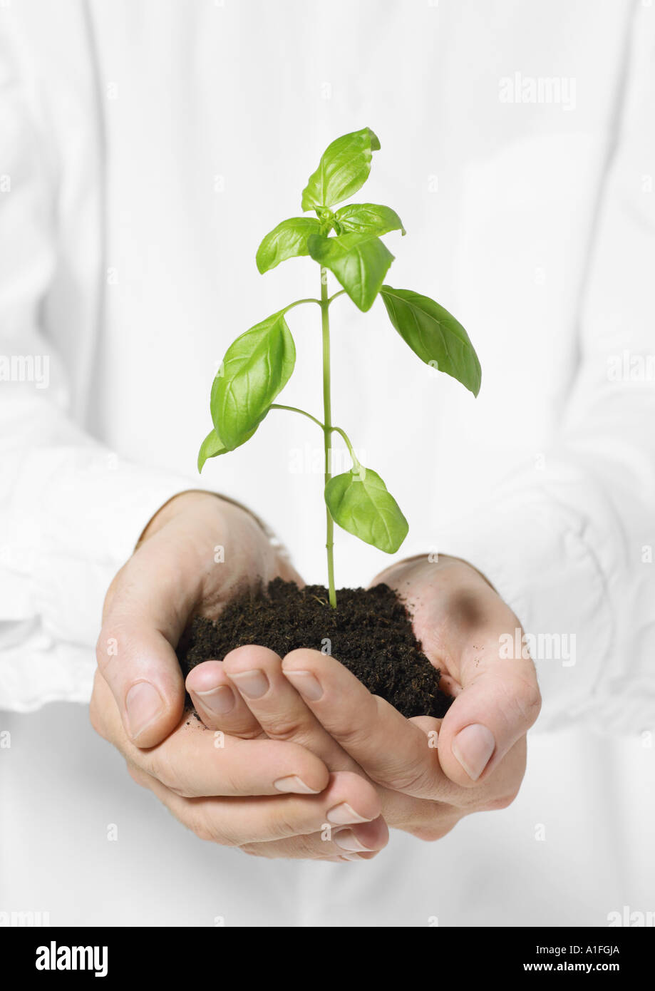 Loose soil hi-res stock photography and images - Alamy