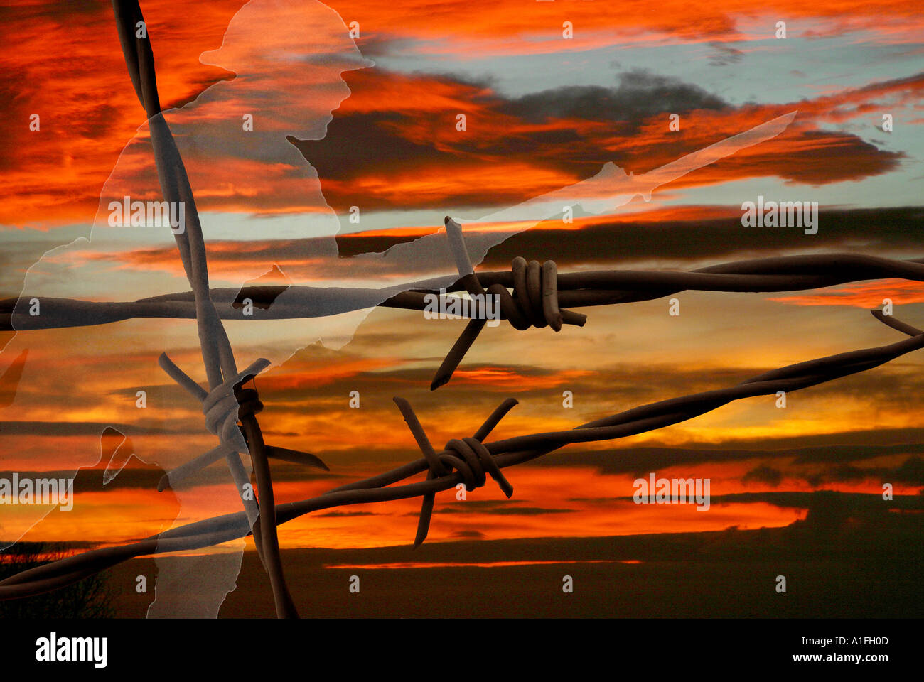 Barb wire entanglement hi-res stock photography and images - Alamy