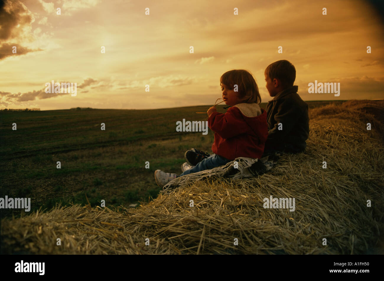 A prairie the prairies hi-res stock photography and images - Alamy