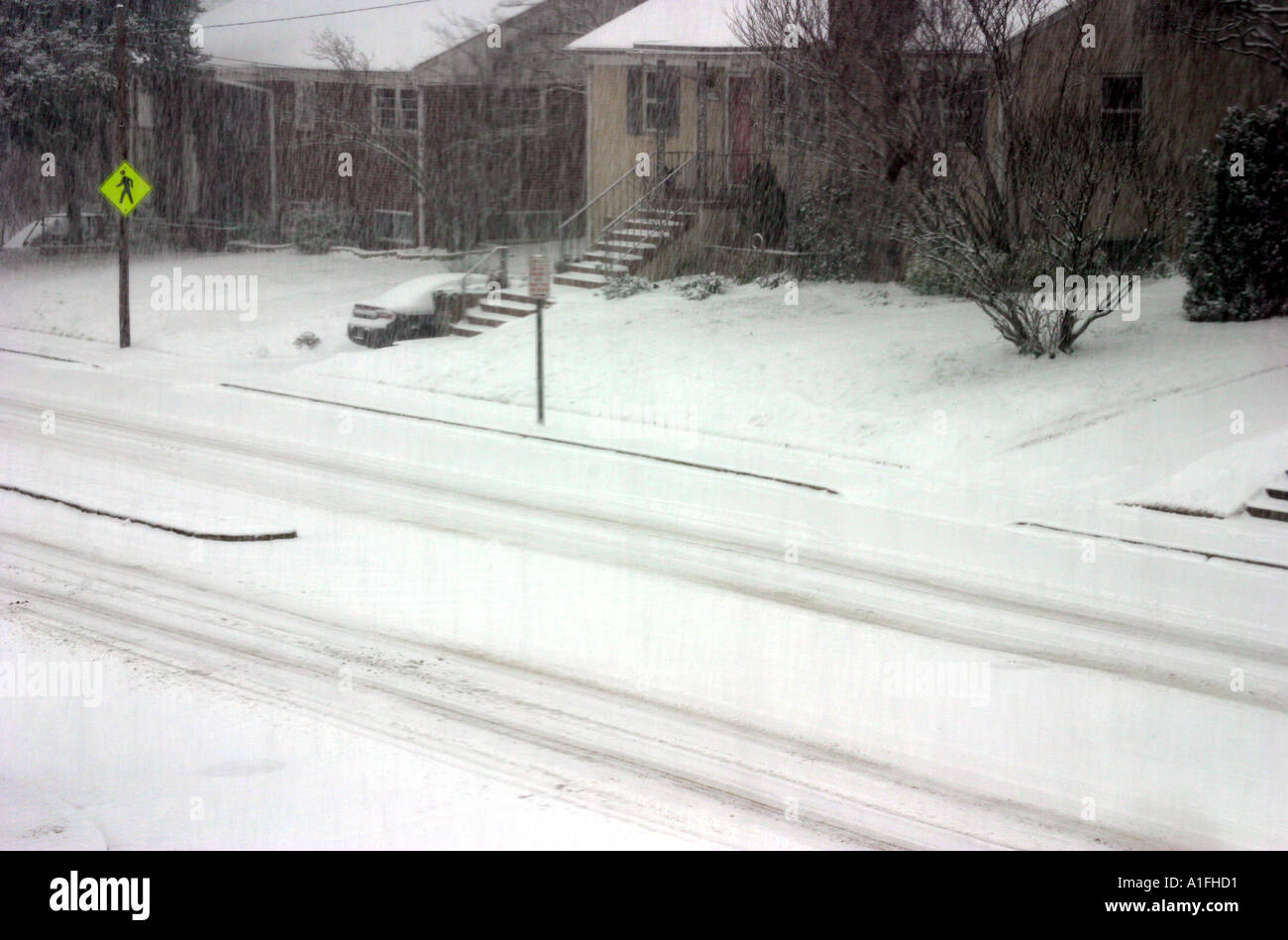 Winter Snow Storm Stock Photo - Alamy