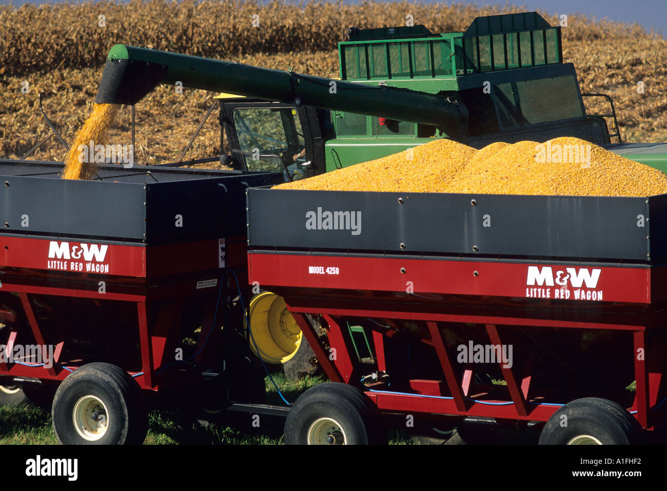 Iowa corn harvest Stock Photo - Alamy