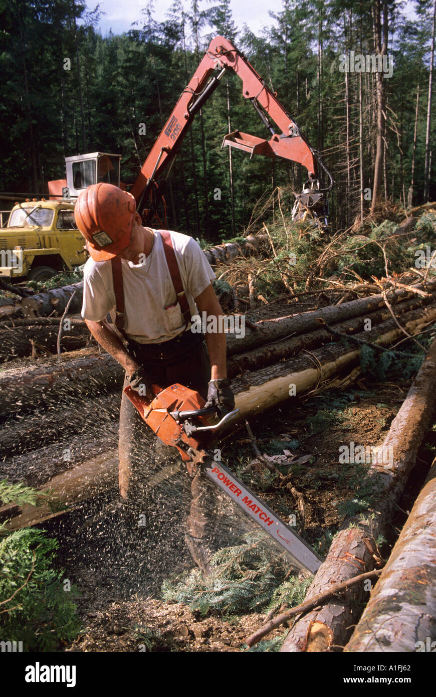 Loader logger logging logging hi-res stock photography and images - Alamy
