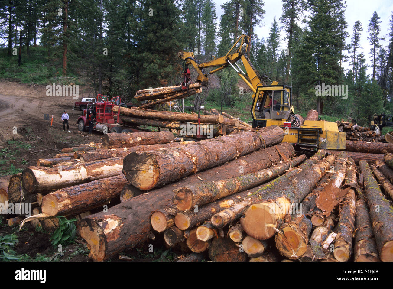 Logging truck paper mill hi-res stock photography and images - Alamy