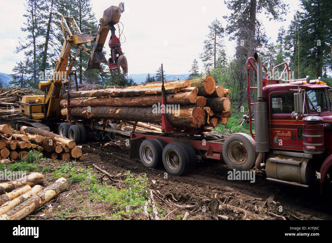 A logging truck being loaded in the Idaho mountains Stock Photo - Alamy