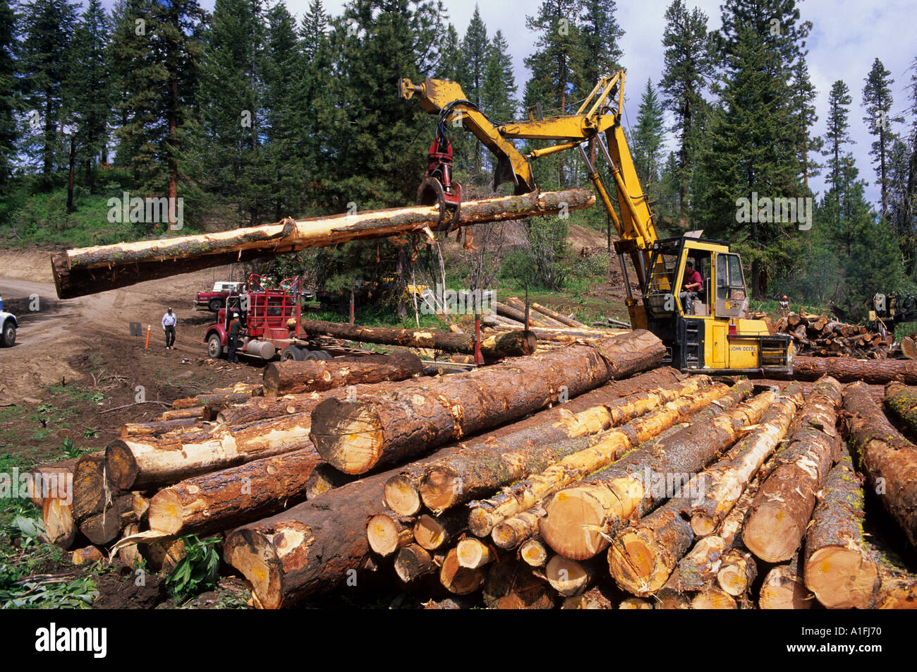 Logging truck and national forest hi-res stock photography and images ...