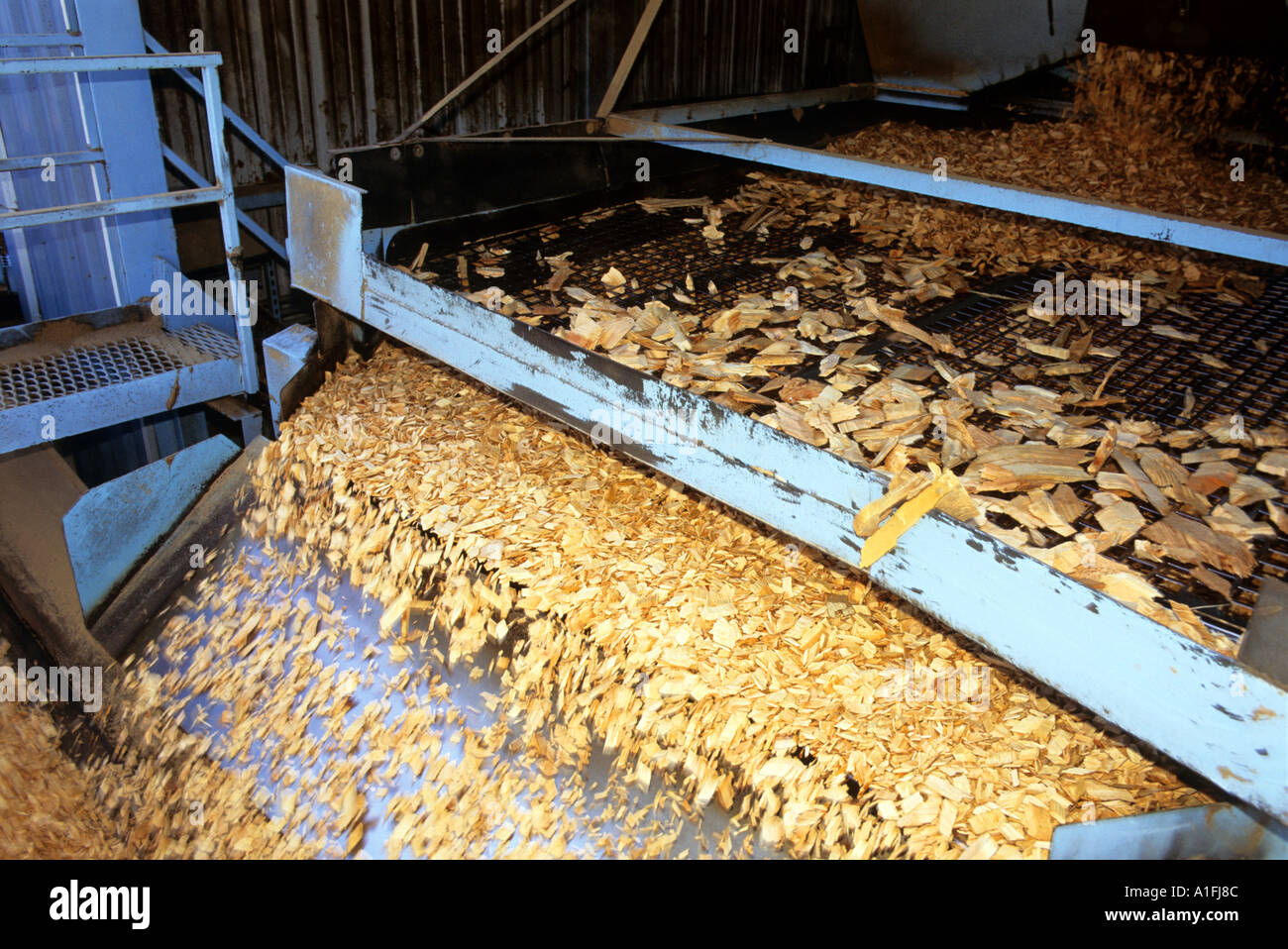 Wood chips being shredded for making paper Stock Photo - Alamy