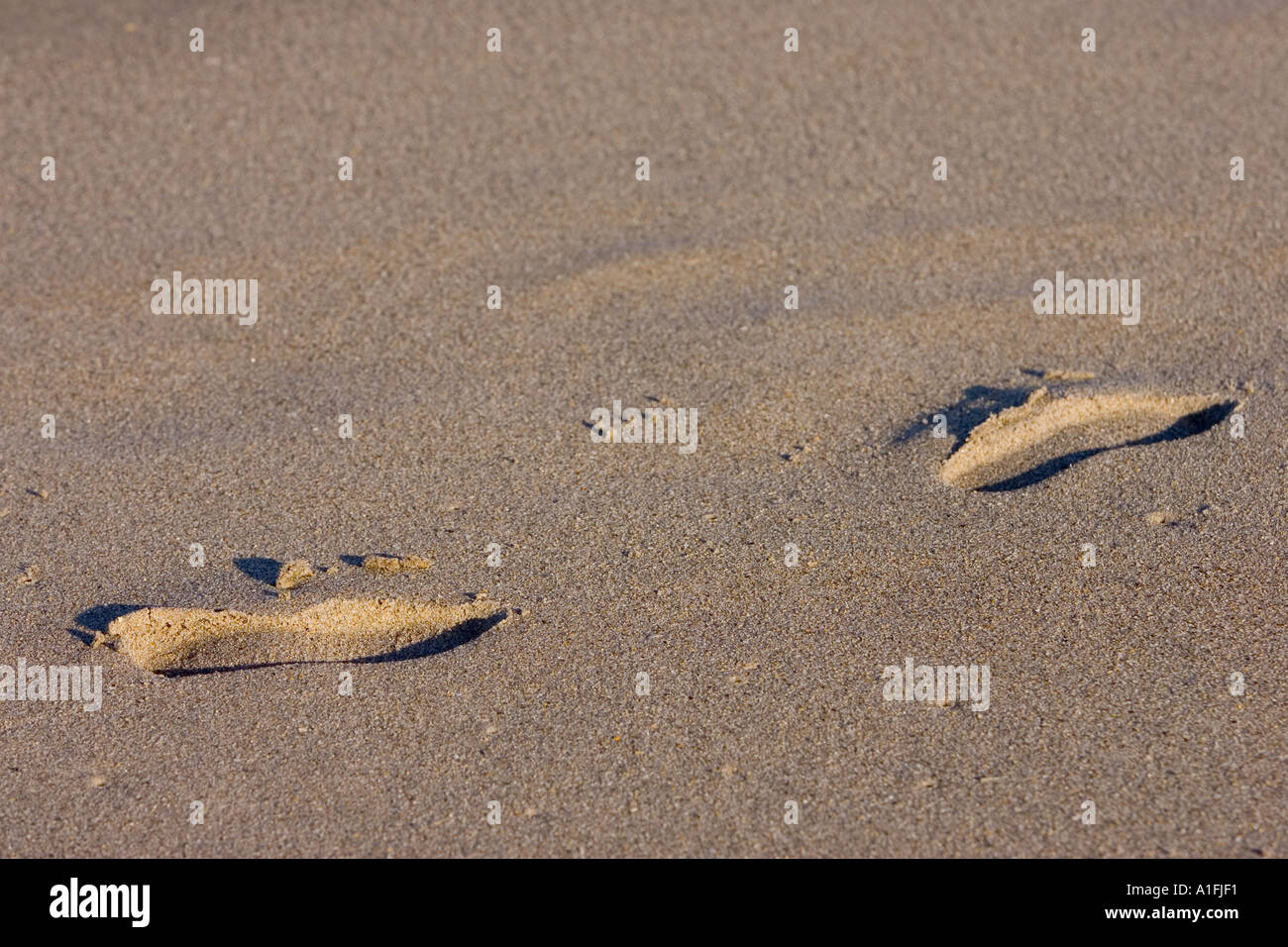 Footprints in the sande Stock Photo - Alamy