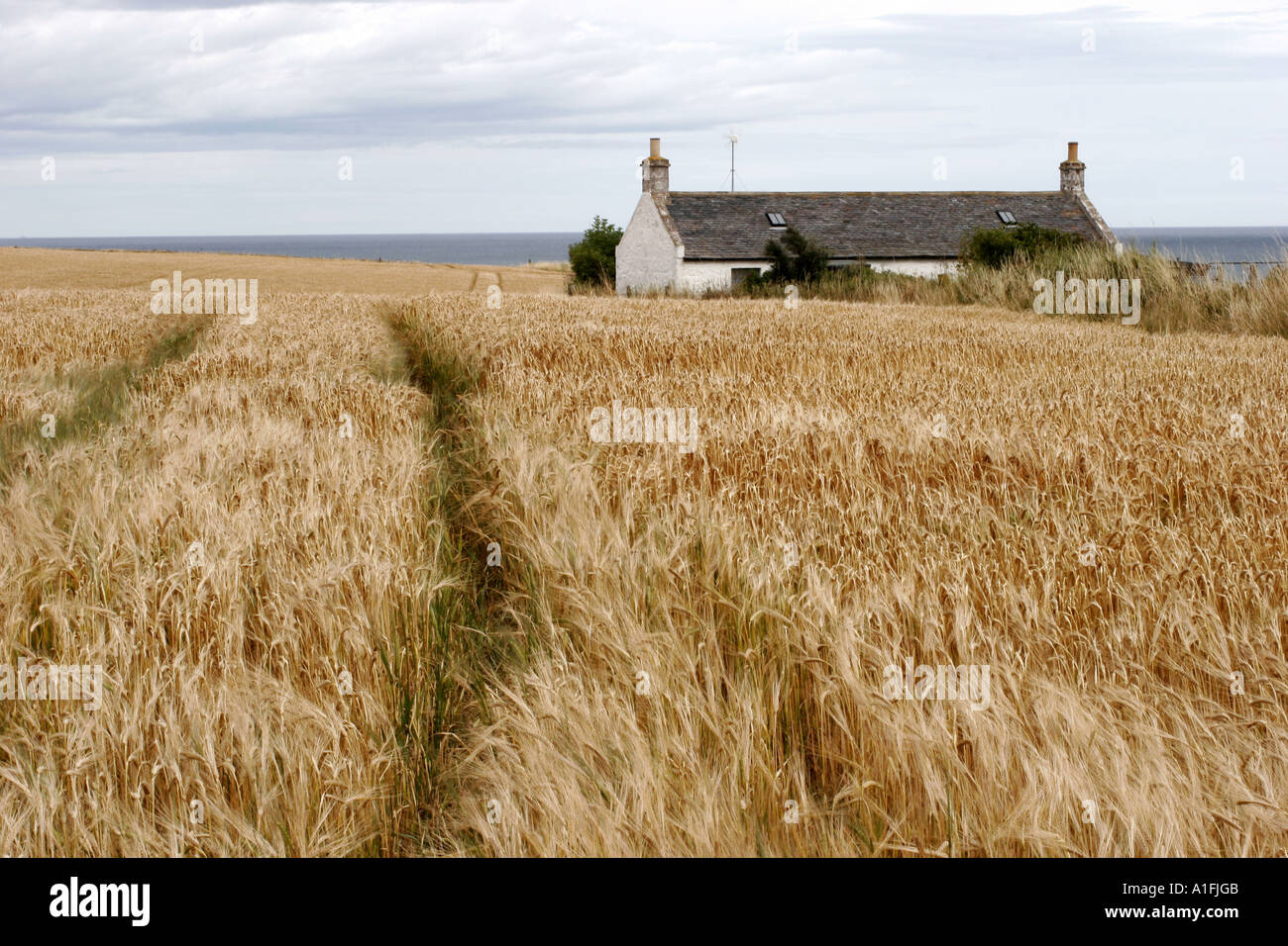 Joan eardley hi-res stock photography and images - Alamy