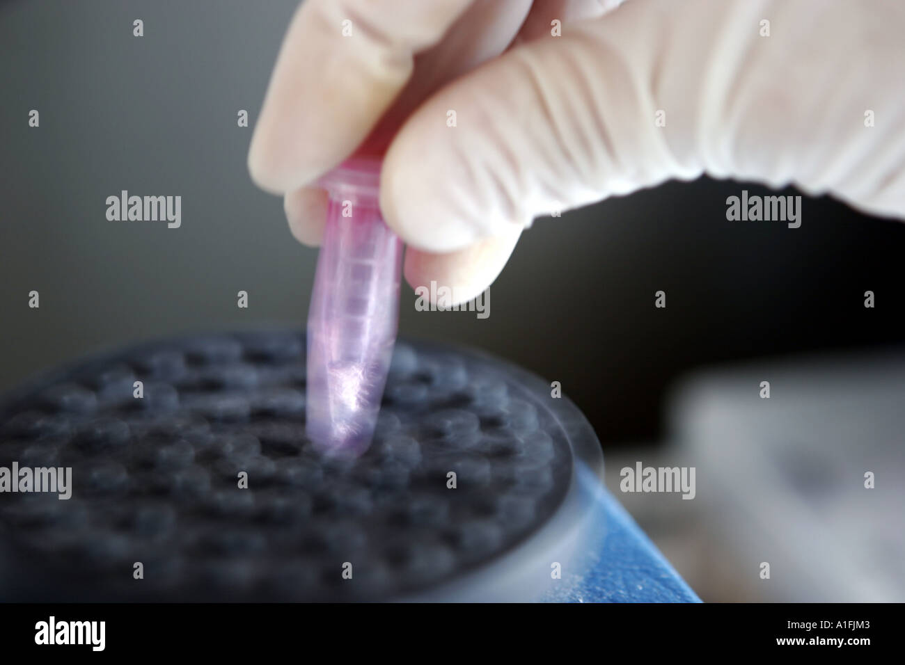 Vortexing High Resolution Stock Photography and Images - Alamy