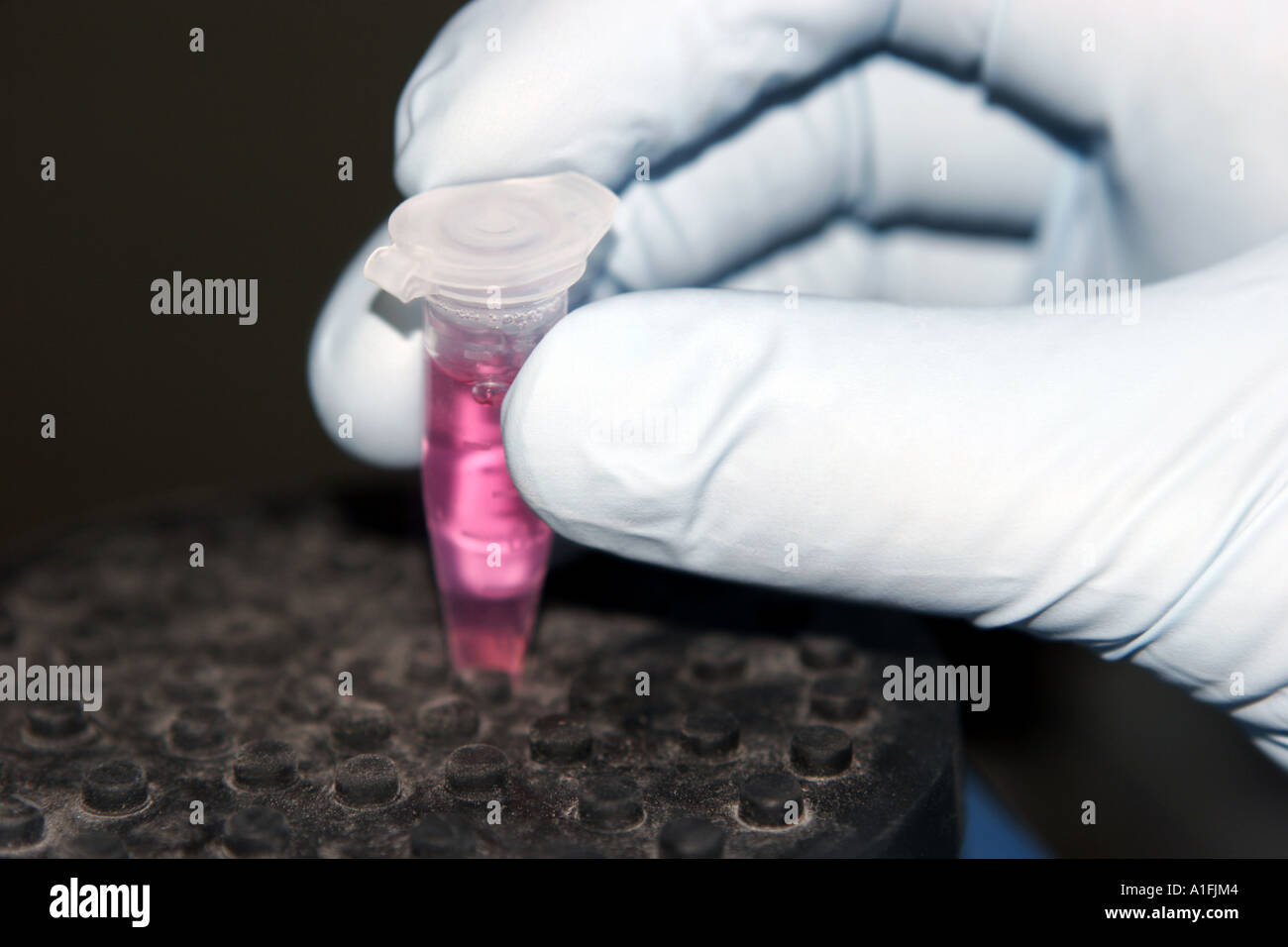 Vortexing High Resolution Stock Photography and Images - Alamy