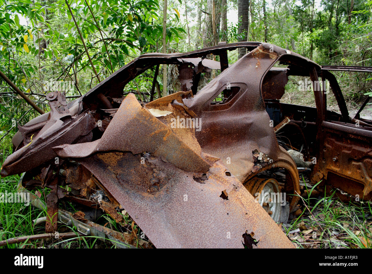 SMASHED RUSTY CAR DUMPED IN BUSH Stock Photo - Alamy