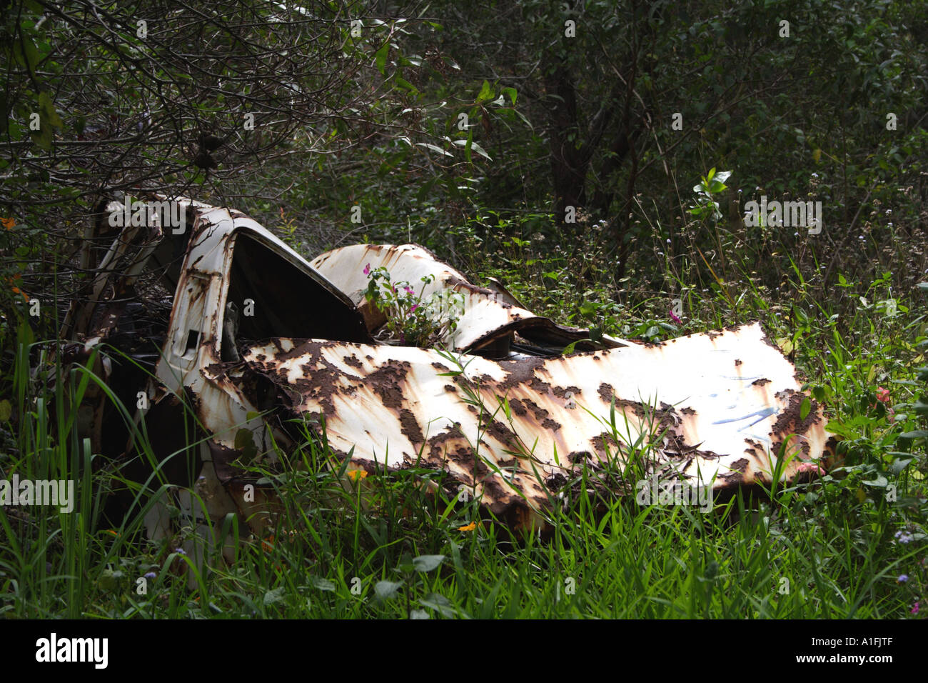 SMASHED RUSTY CAR DUMPED IN BUSH Stock Photo - Alamy