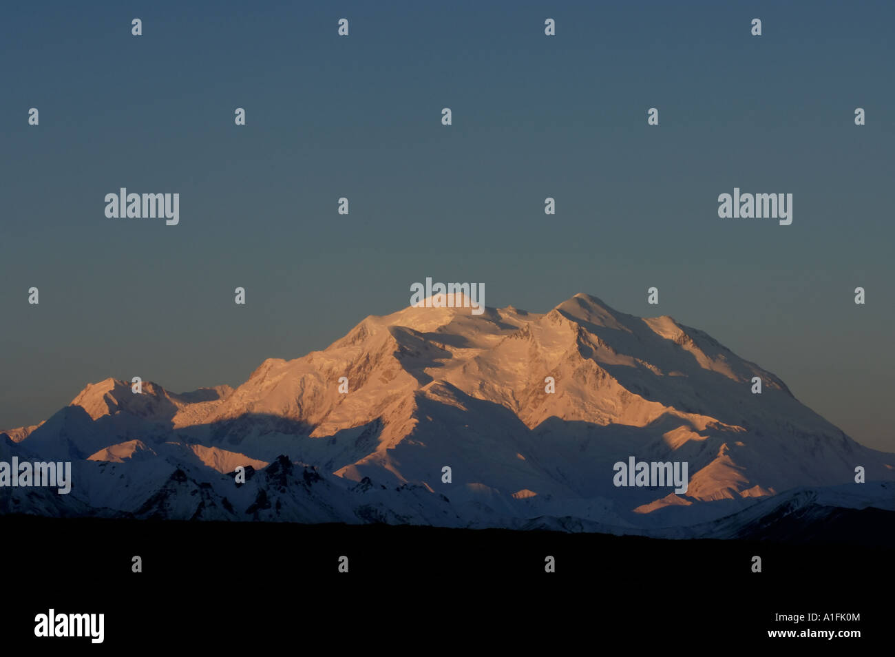 mount McKinley or Mount Denali at sunrise Denali National Park interior ...