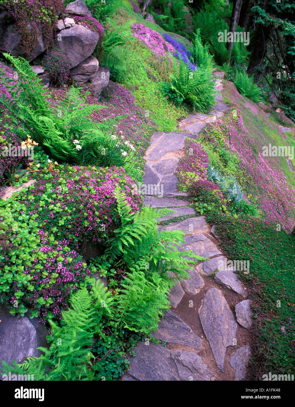 Rock pathway and ground cover at Ohme Gardens Wenatchee Washington ...