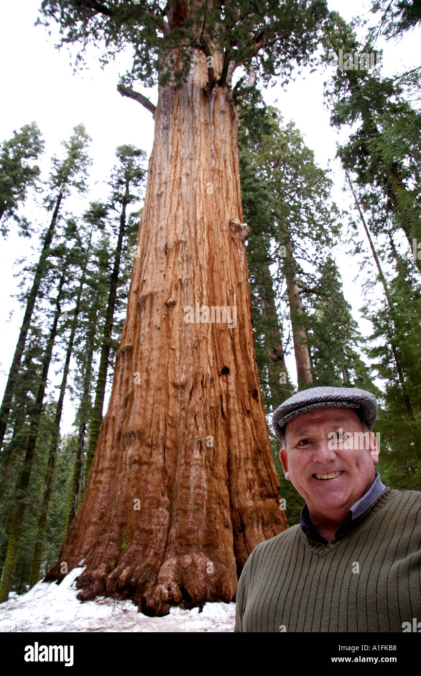 Biggest Living Thing On Earth