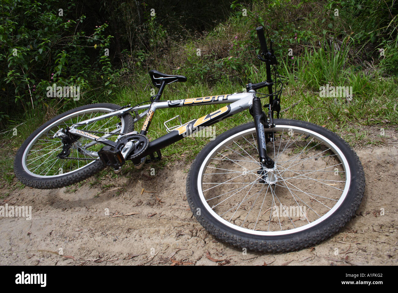 MOUNTAIN BIKE ON A BUSH TRACK Stock Photo - Alamy