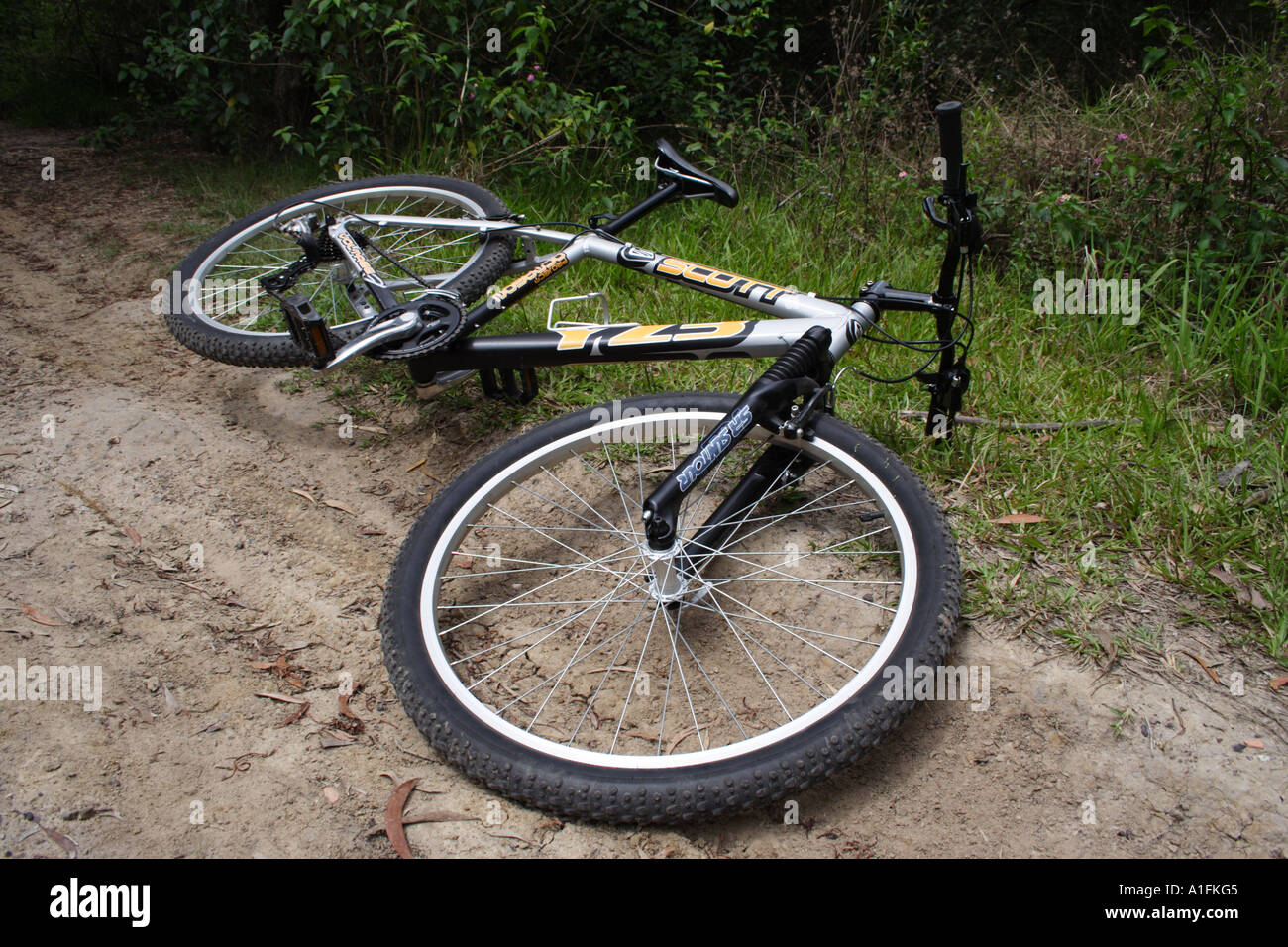 Track bike cog hi-res stock photography and images - Alamy