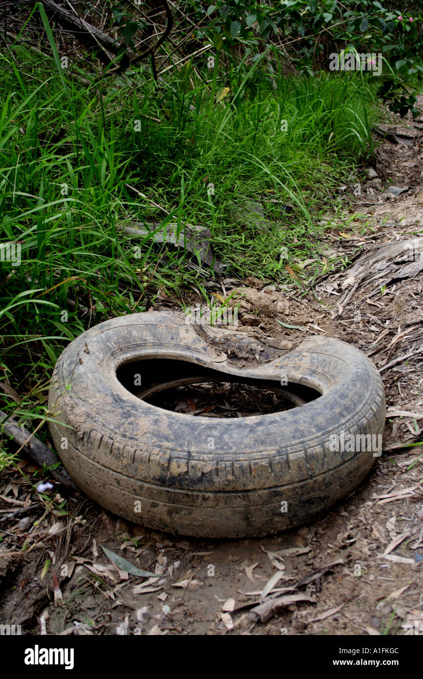 CAR TYRE DUMPED IN THE BUSH Stock Photo - Alamy