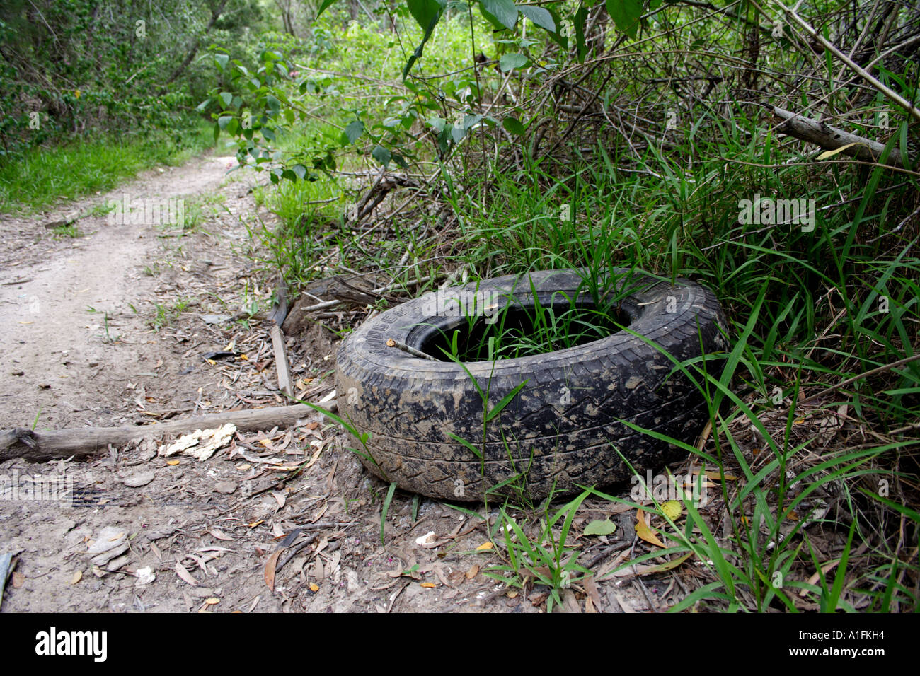 CAR TYRE DUMPED IN THE BUSH Stock Photo - Alamy