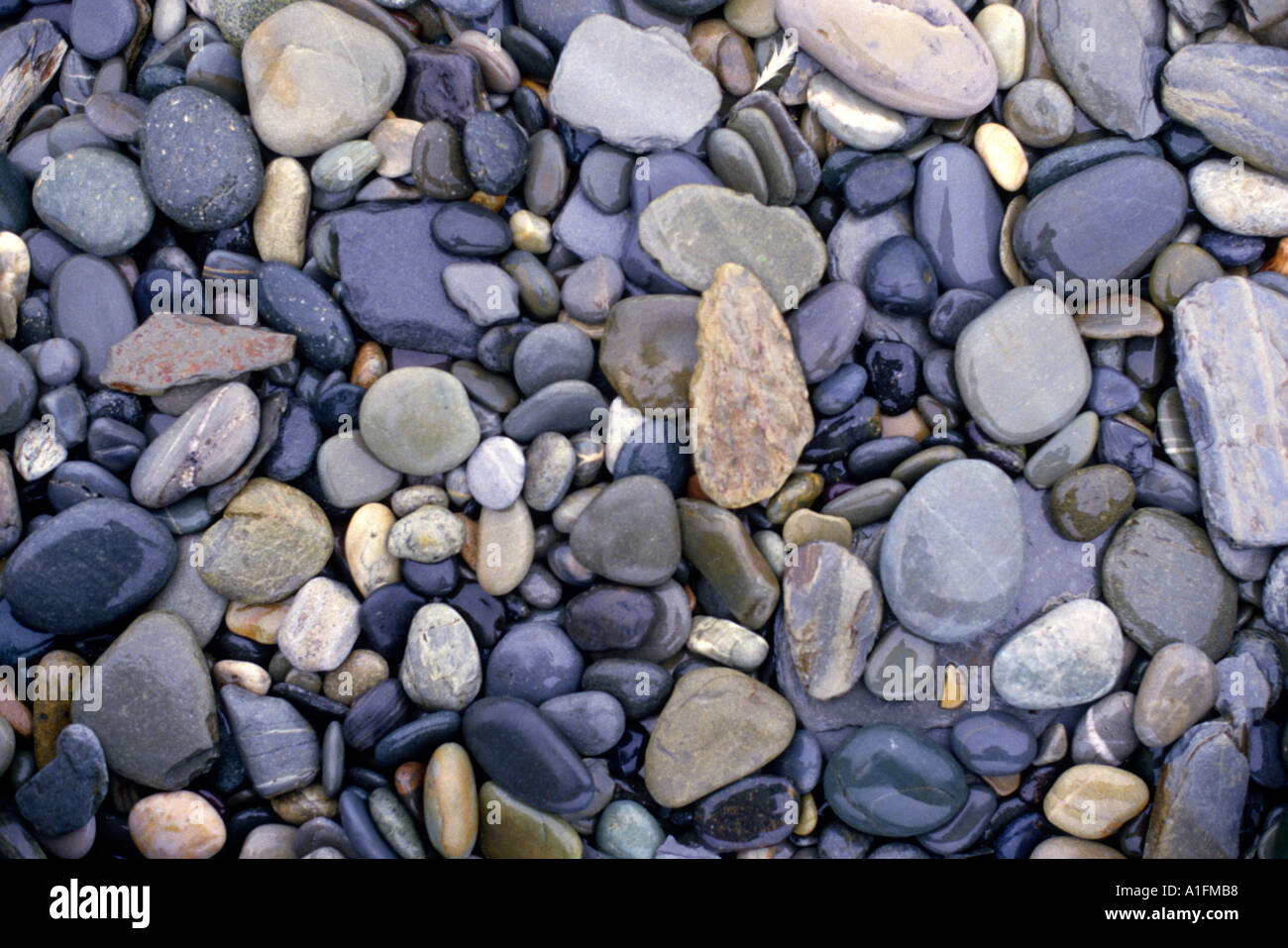 Pebbles seen through water from above Stock Photo - Alamy