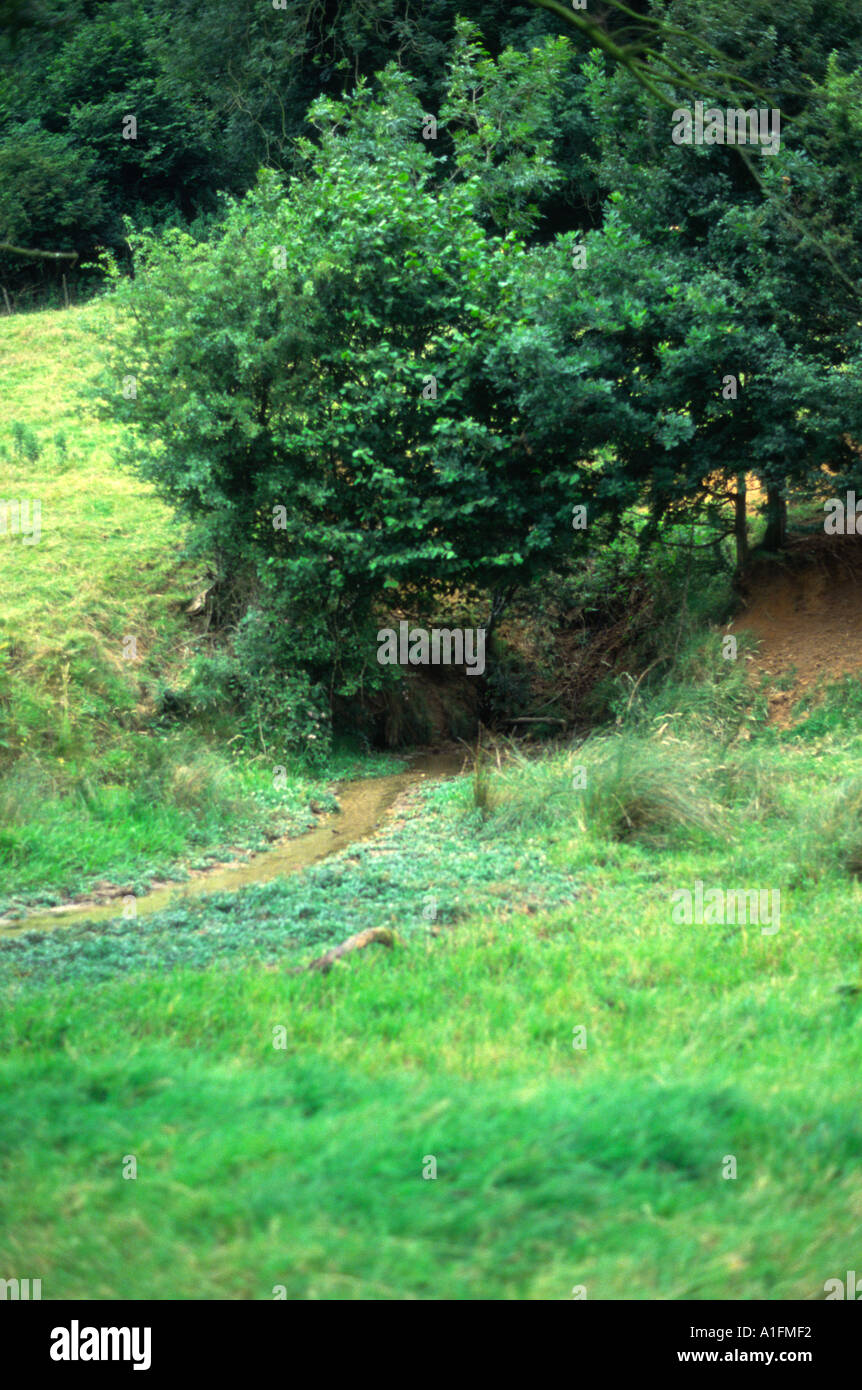 Headward hi-res stock photography and images - Alamy