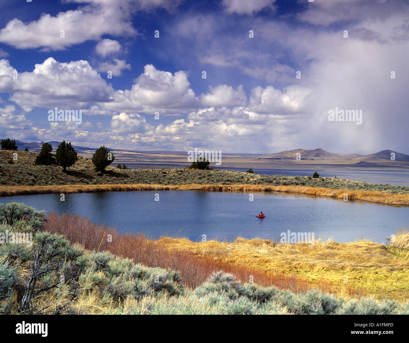 Fly fisherman in float tube on small pond on Hart Mountain Oregon Stock ...
